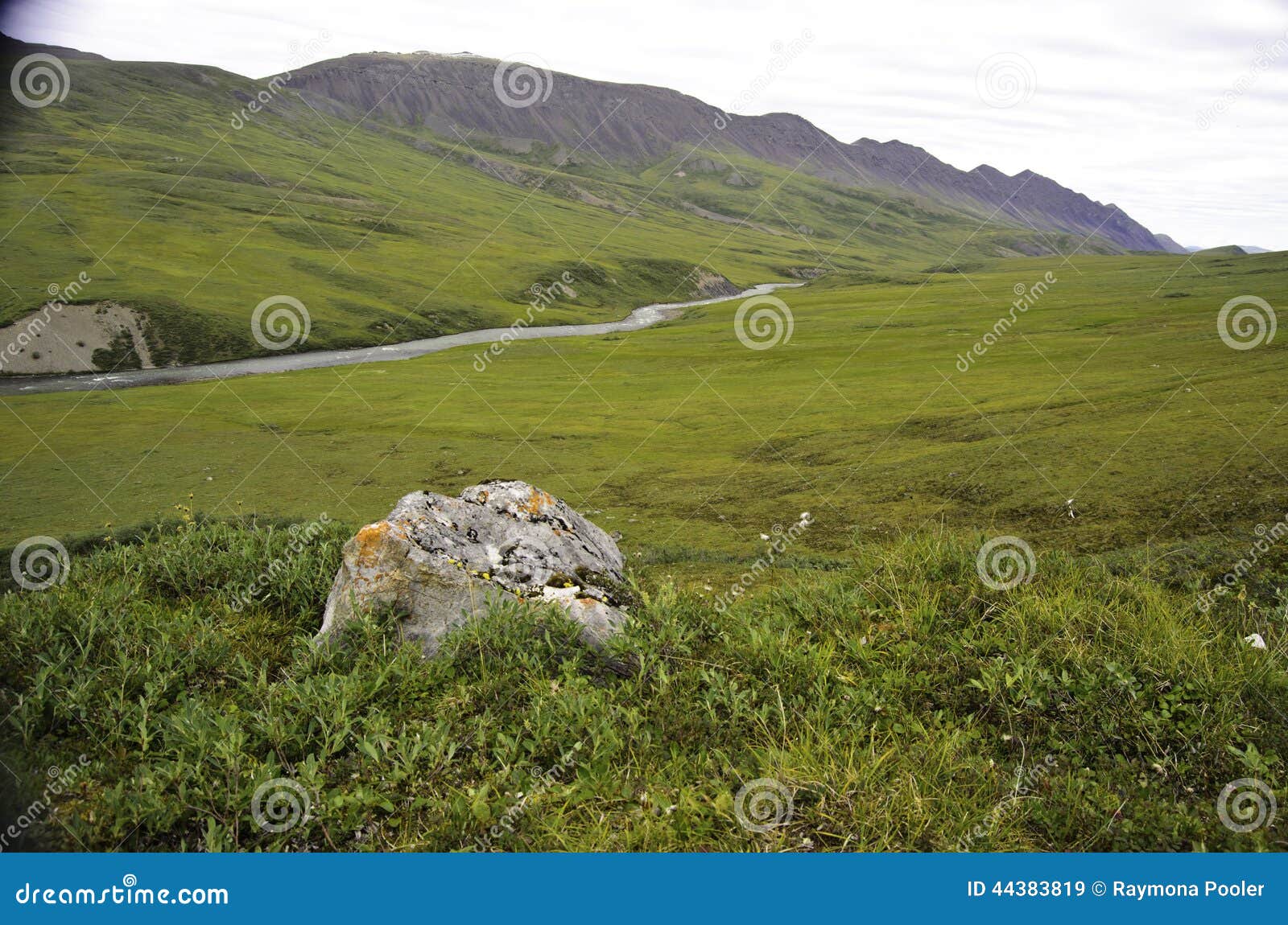 Rio Selvagem Alaska Com Rocha Colorida Imagem de Stock - Imagem de ...