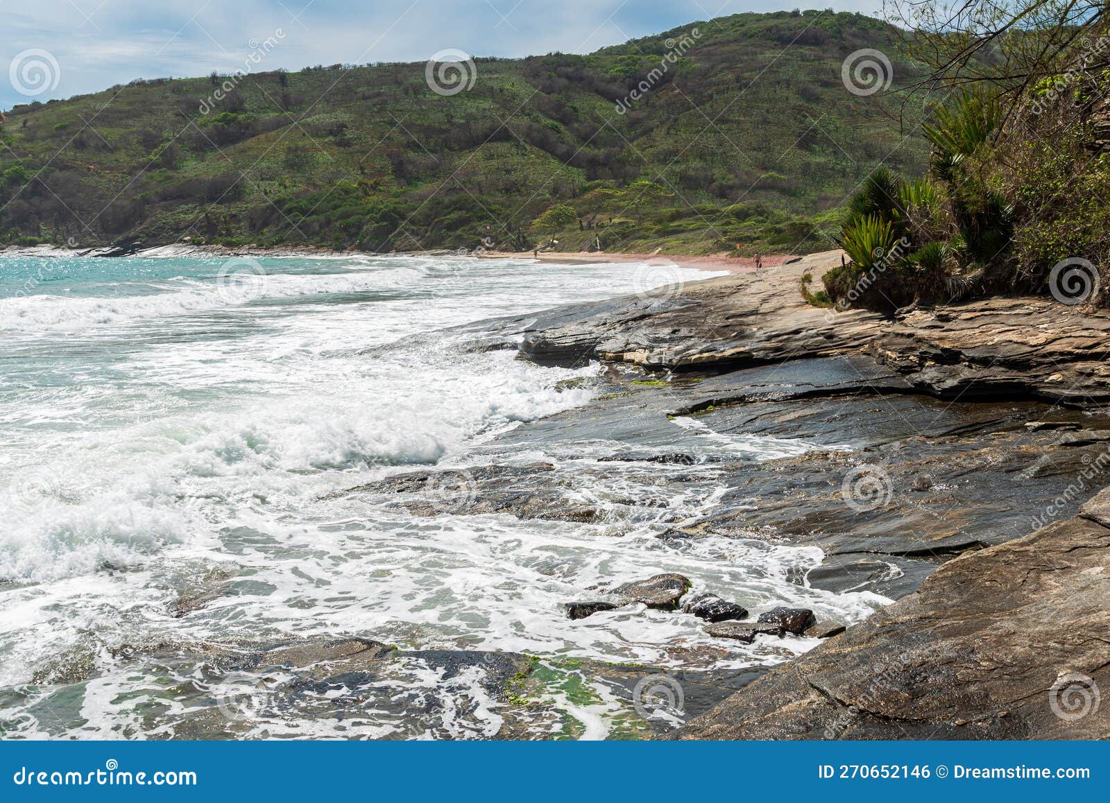 Rocky Beach in Rio De Janeiro State Stock Photo - Image of forest ...