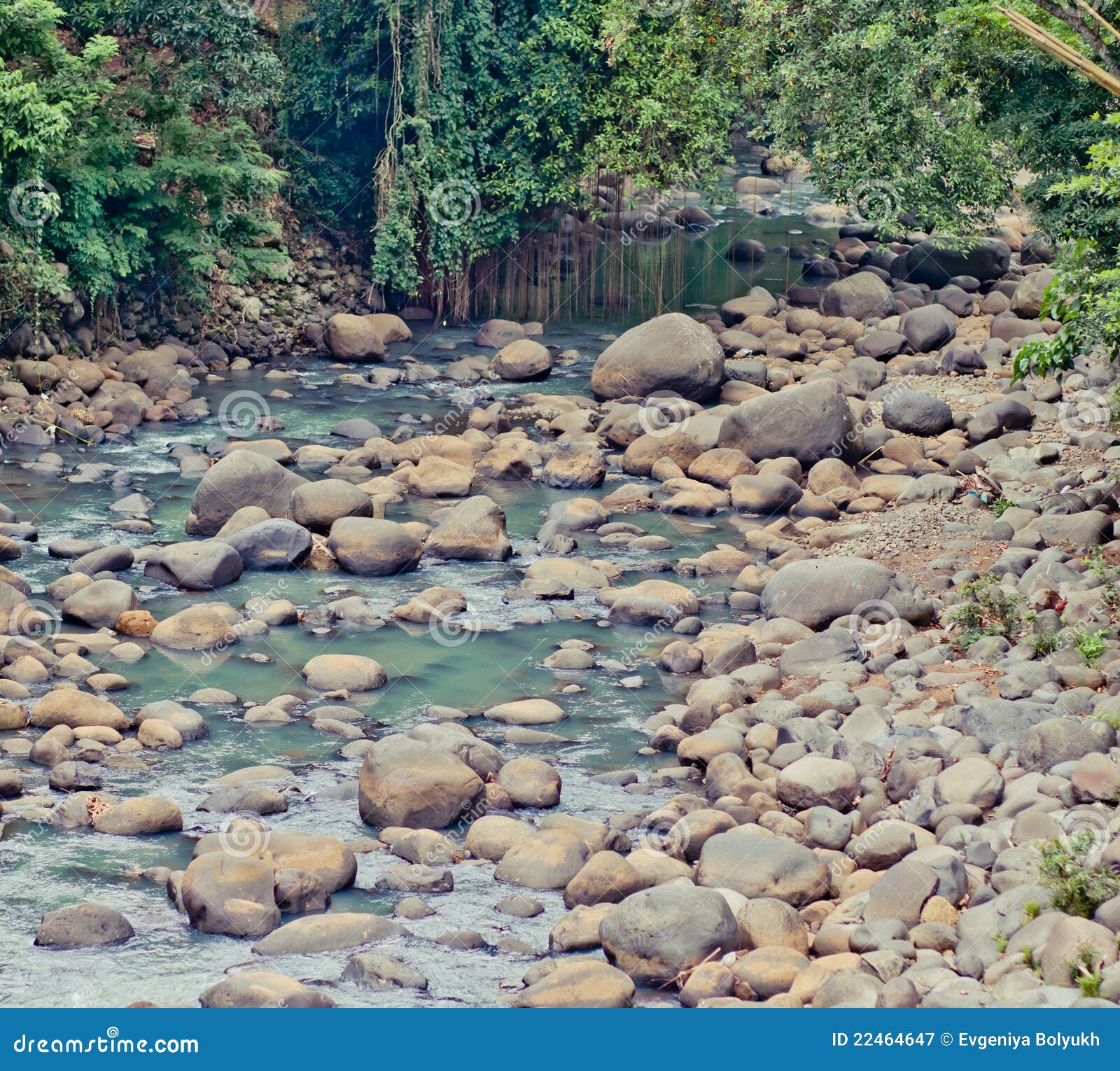 Rio tropical imagem de stock. Imagem de azul, tropical - 22464647