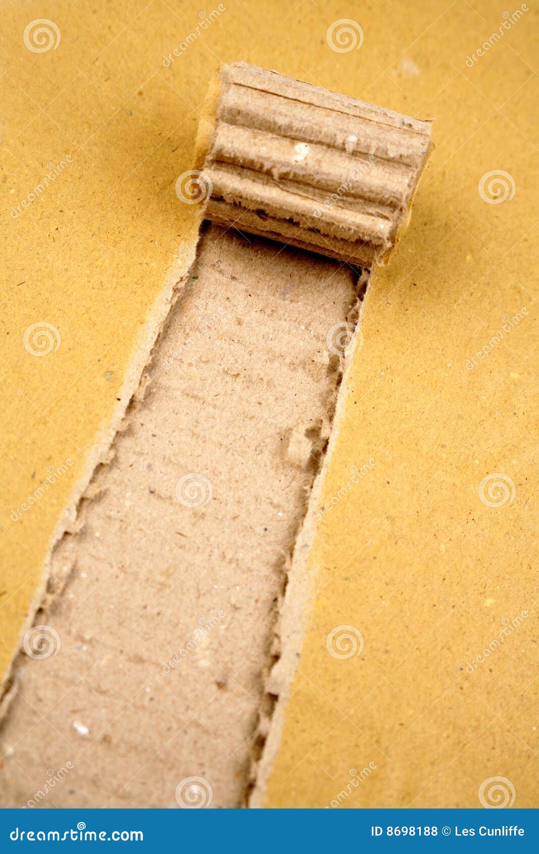 Rip in cardboard stock photo. Image of cardboard, abstract - 8698188