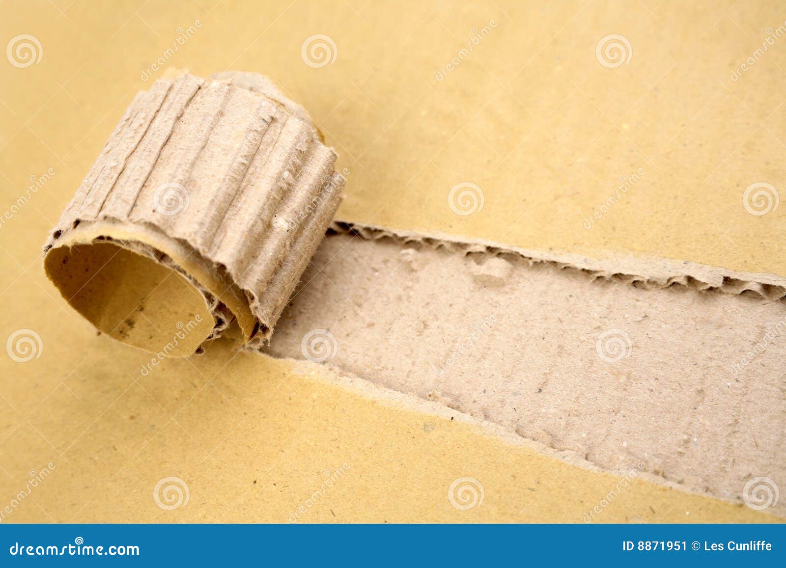 Rip in cardboard stock image. Image of tear, corrugated - 8871951