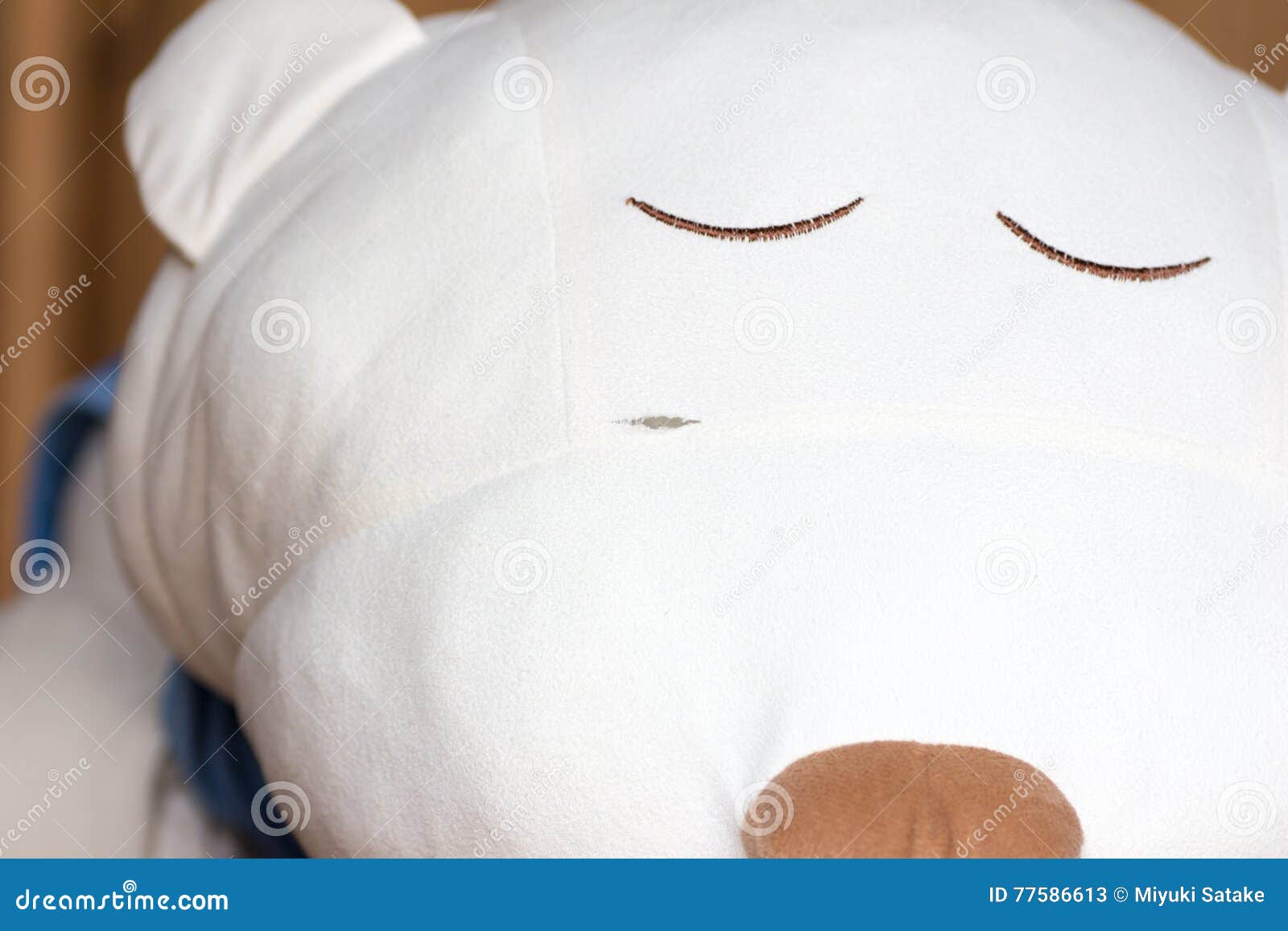 A Rip on the Face of a Stuffed Bear Stock Image - Image of broken, cute ...