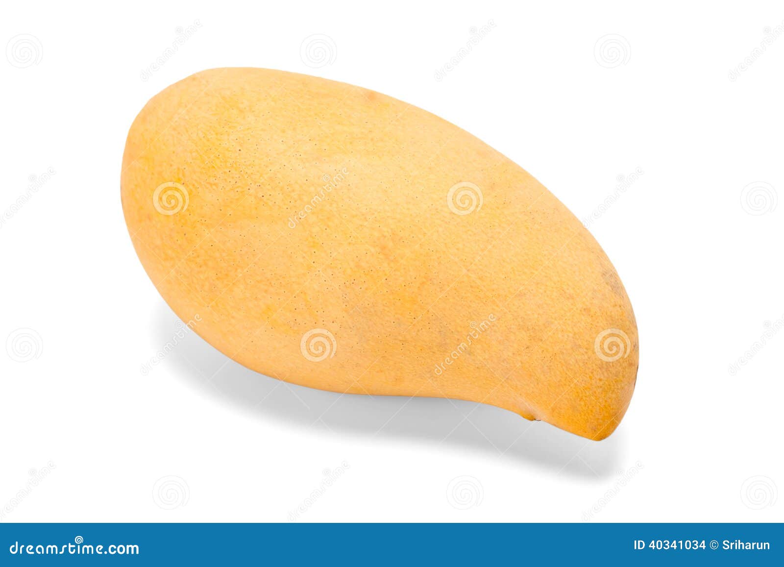 Rip mango stock photo. Image of orange, group, harvest - 40341034