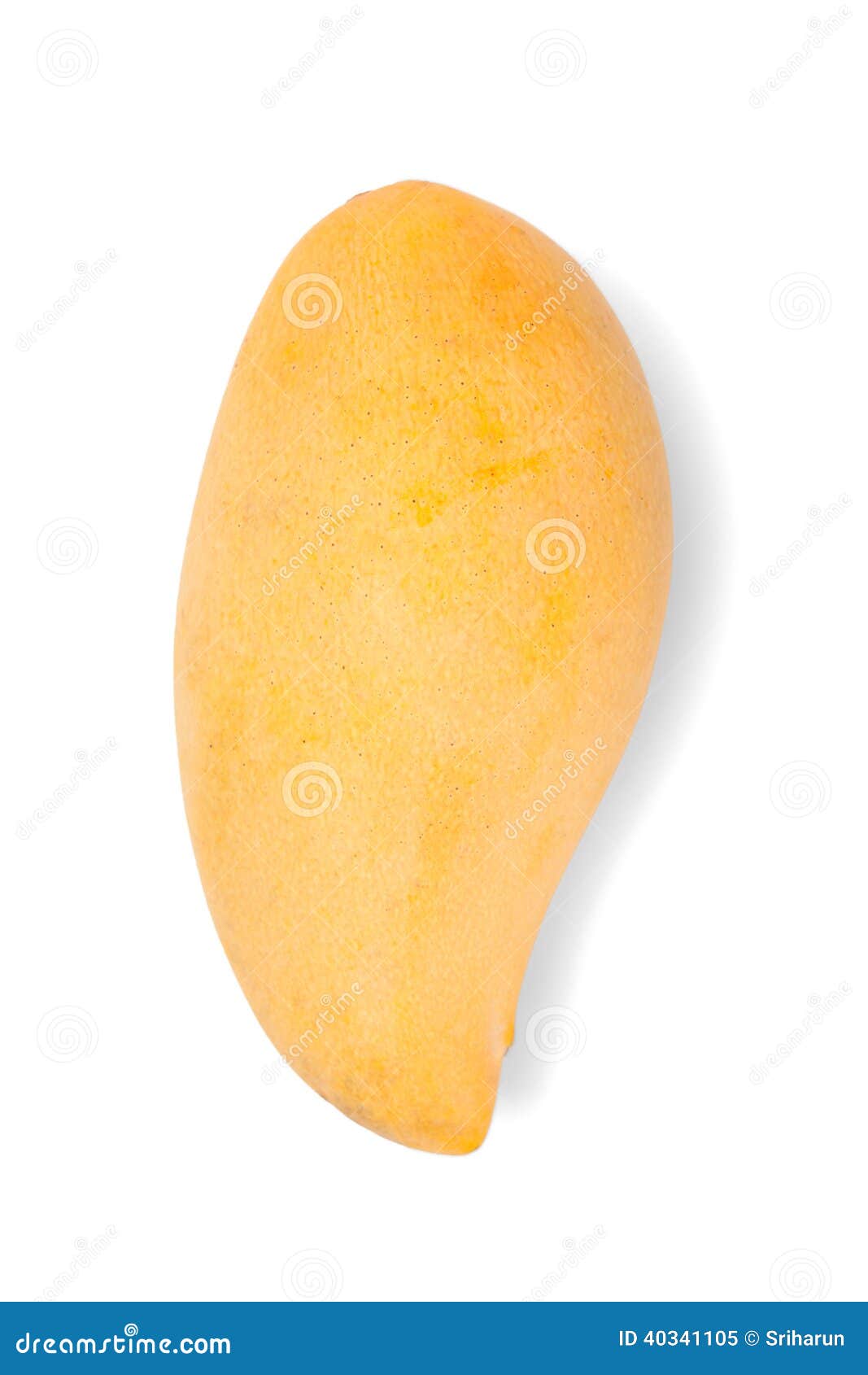 Rip mango stock image. Image of food, diet, exotic, closeup - 40341105