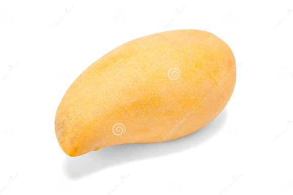Rip mango stock image. Image of object, gourmet, mangos - 40341121