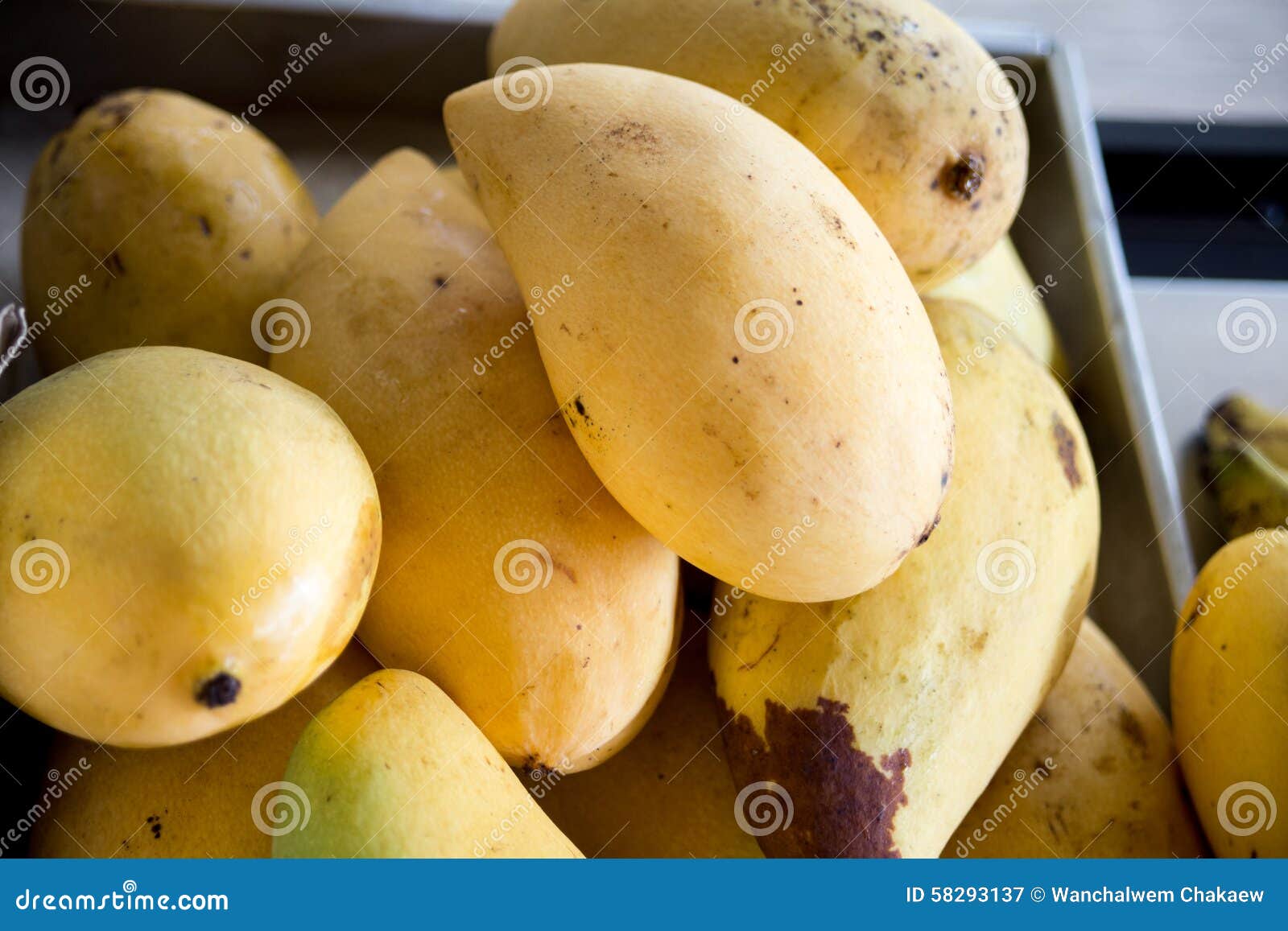 Ripe Alphonso Mangos - King of Fruits Stock Image - Image of indian ...