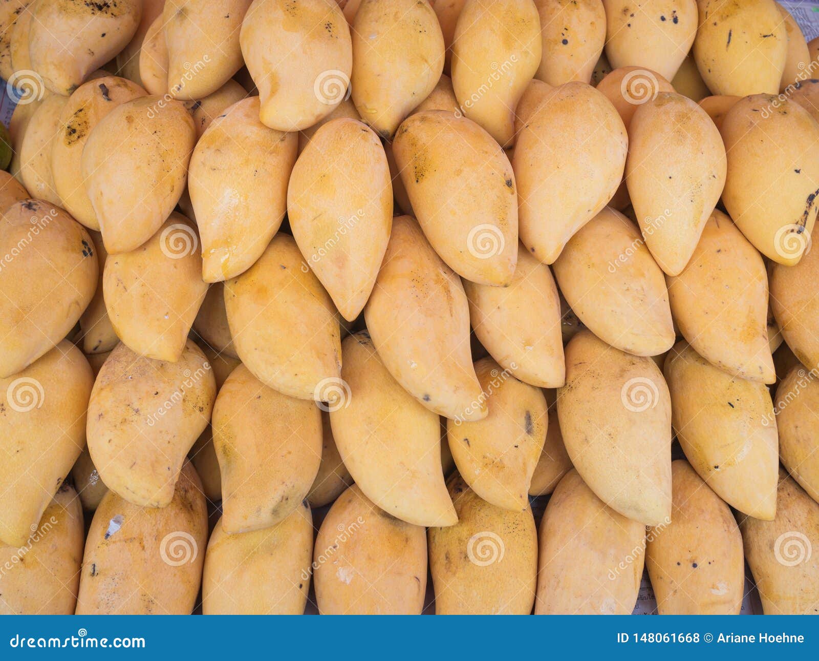 Ripe Alphonso Mango Fruit With Green Leaf Royalty-Free Stock ...