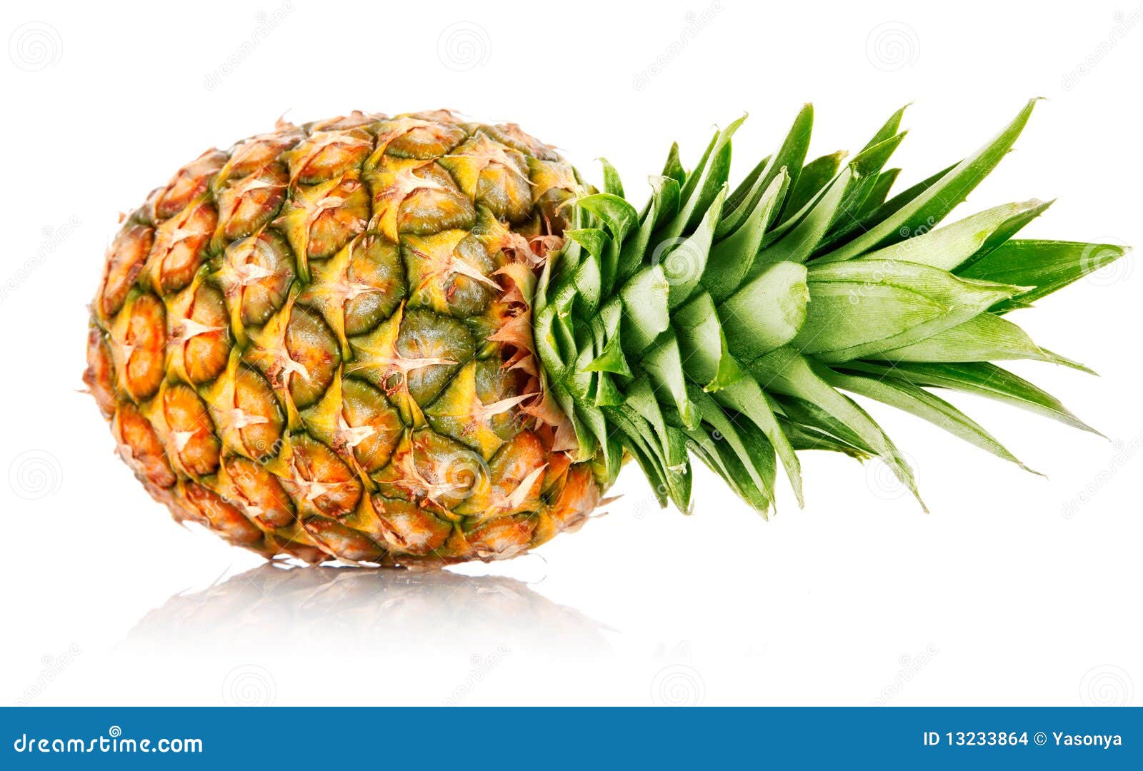 Ripe Ananas Fruit with Green Leaves Stock Photo - Image of tropical ...