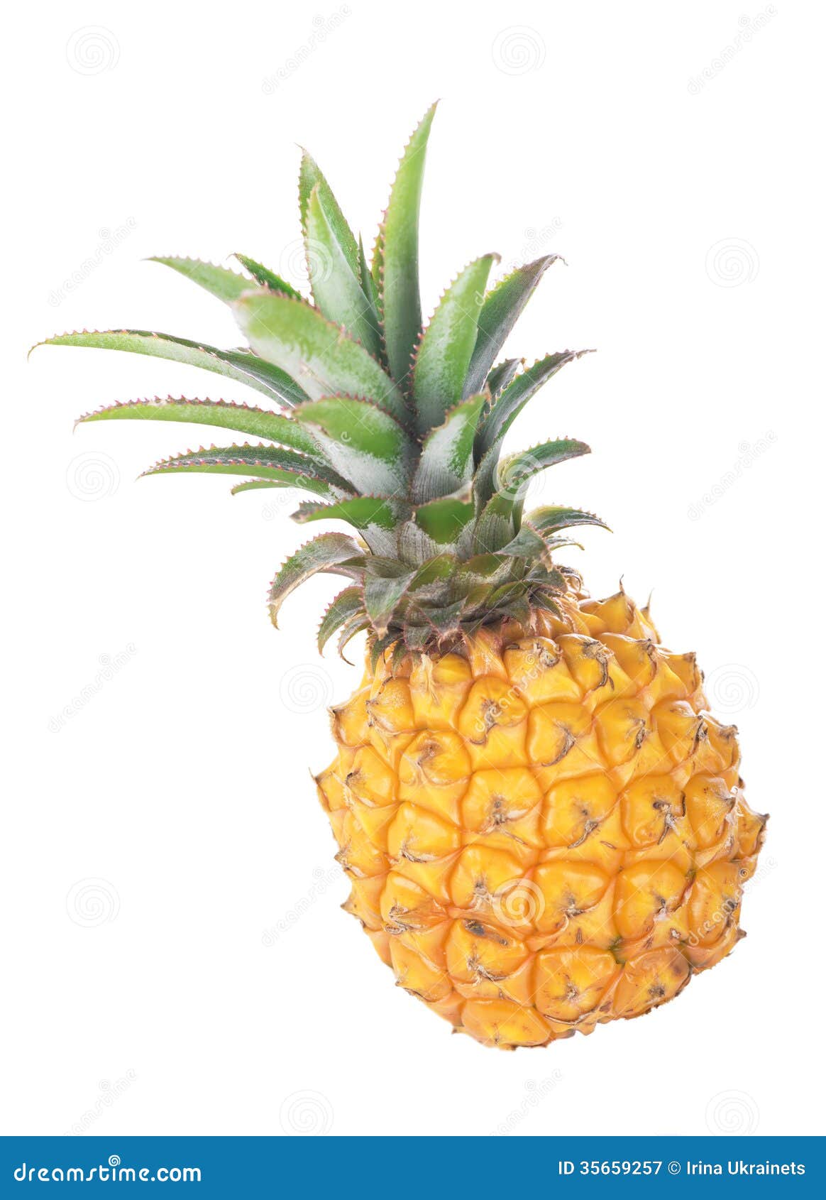 Ripe Ananas Fruit with Green Leaves Stock Image - Image of juicy, fruit ...