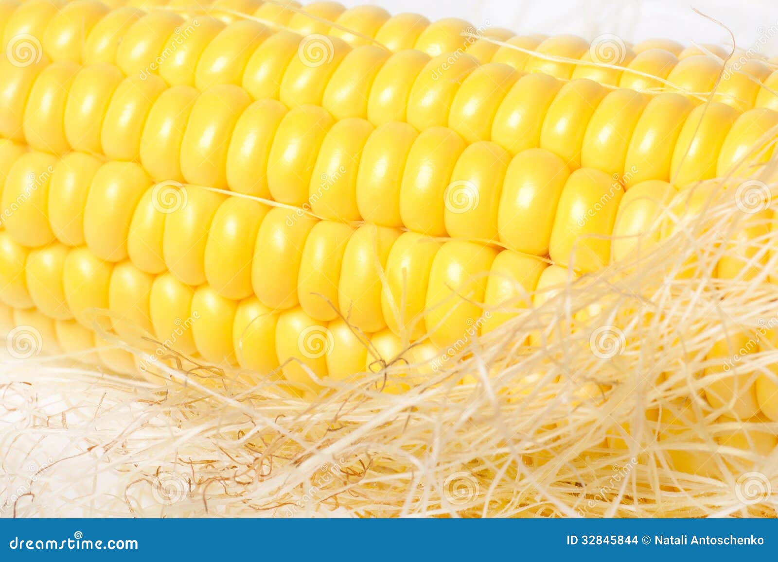 Ripe appetizing corn. stock photo. Image of freshness - 32845844