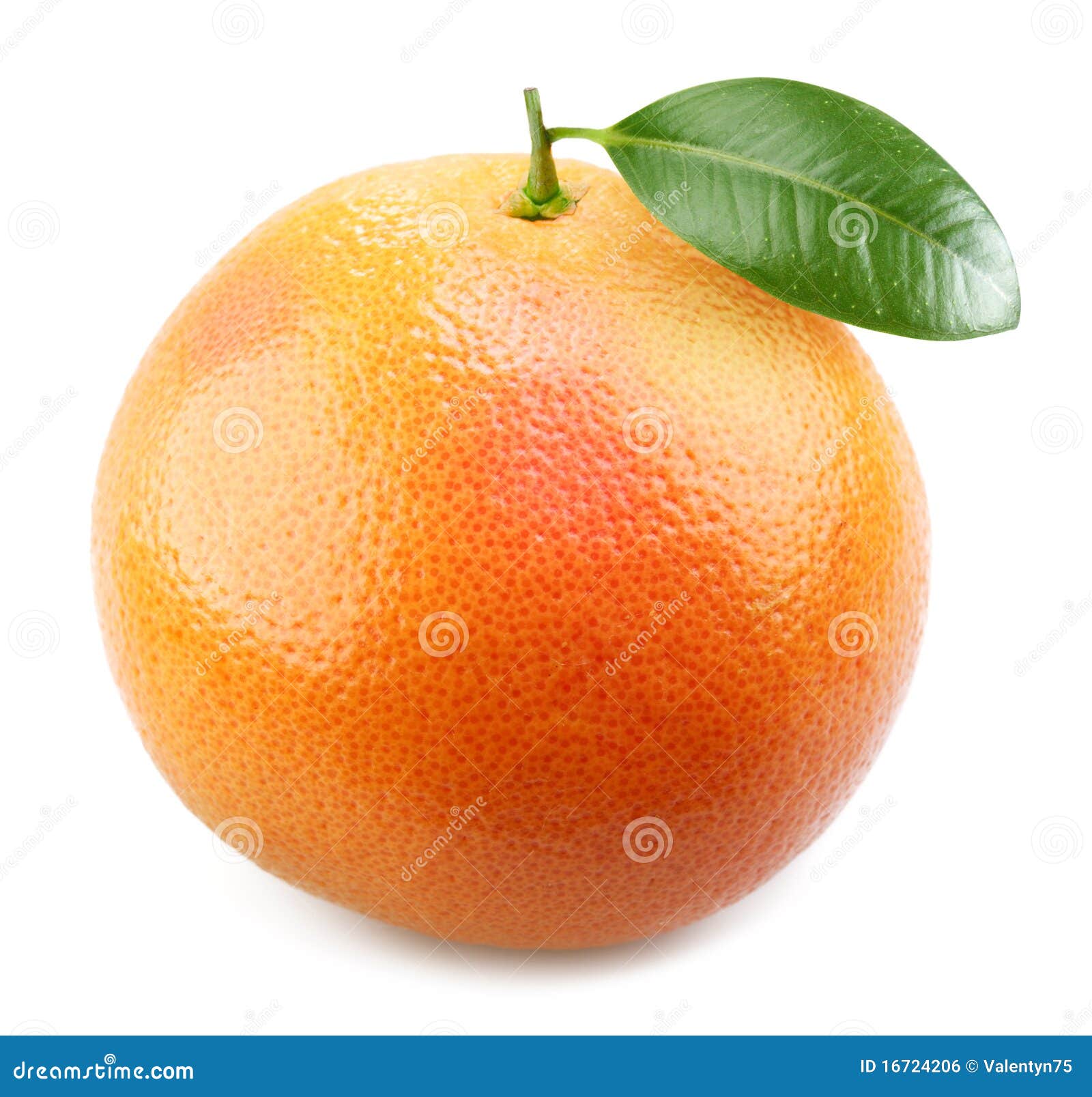 Ripe Appetizing Grapefruit with Leaf. Stock Photo - Image of healthy ...