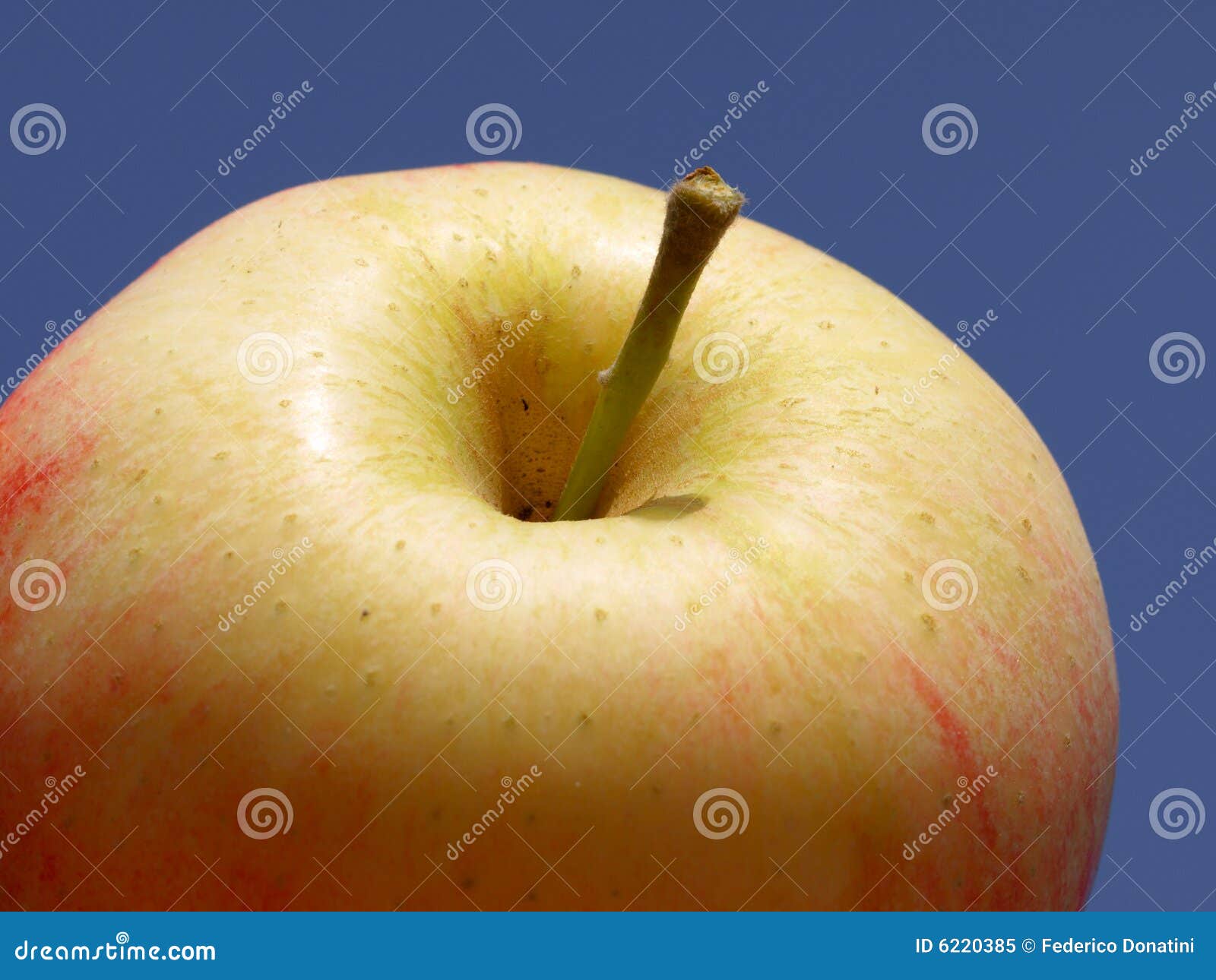 Ripe apple stock image. Image of stalk, details, temptation - 6220385