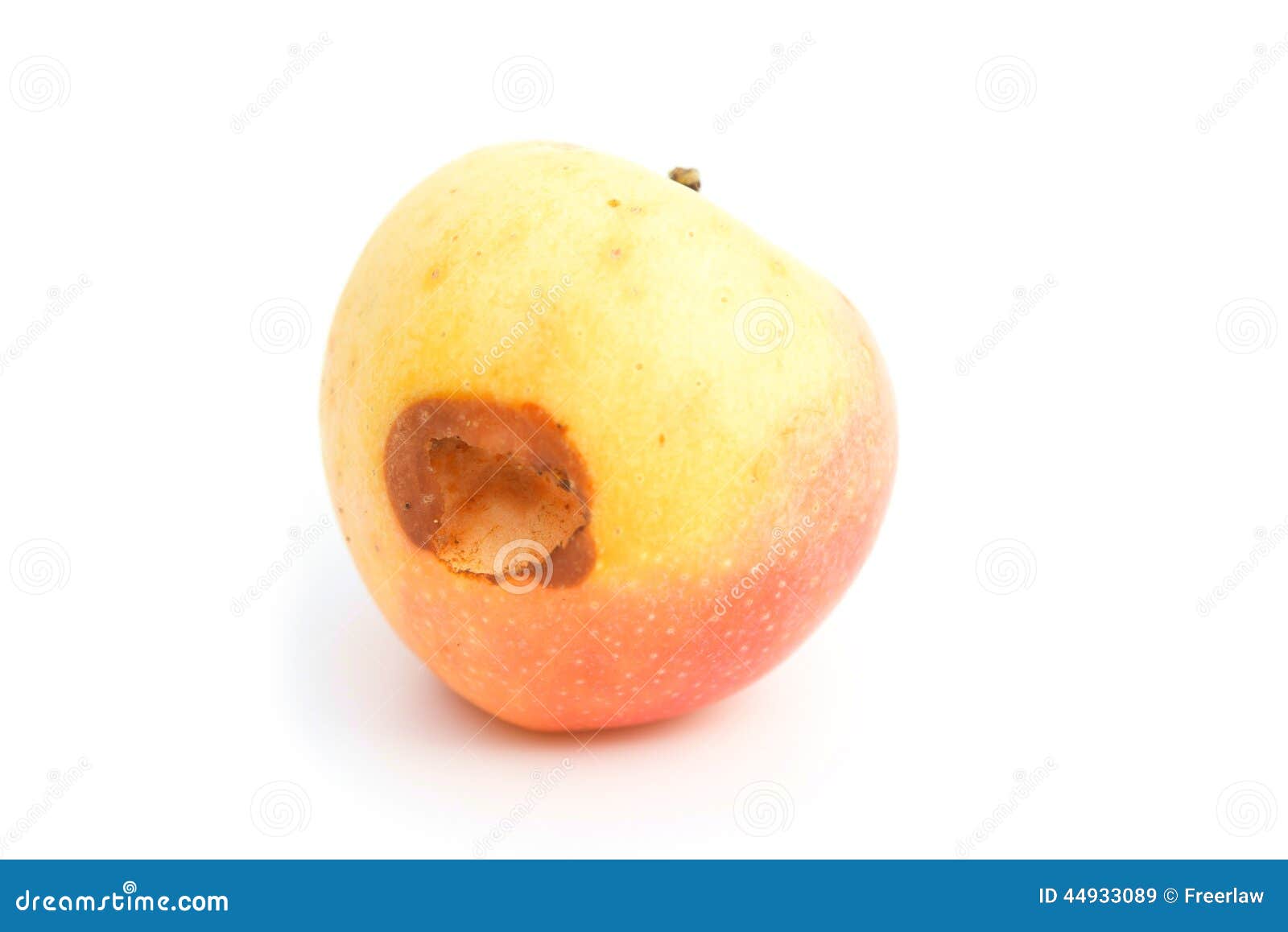 Ripe apple bited by insect stock image. Image of bited - 44933089