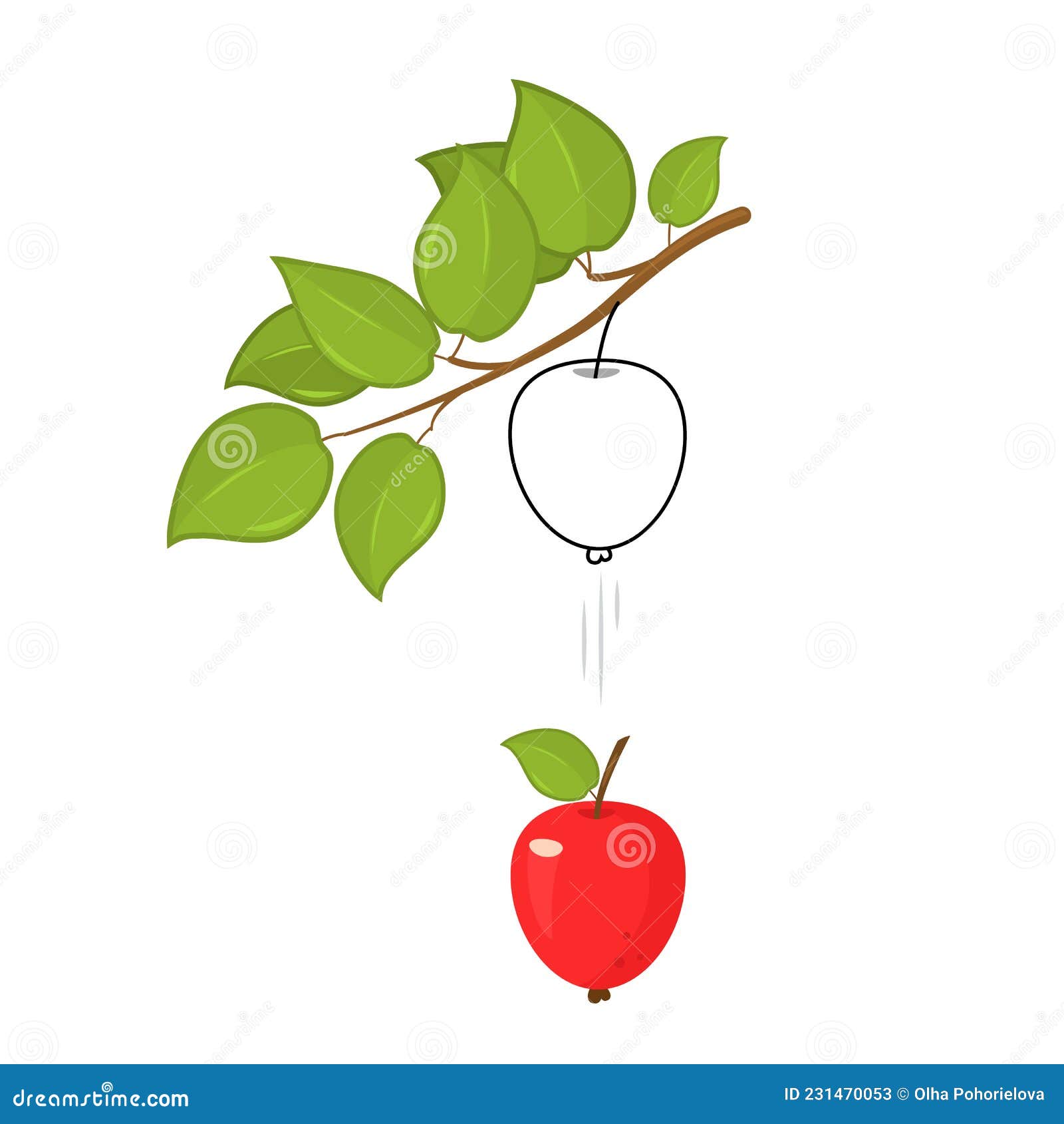 A Ripe Apple Falls from a Branch Under the Force of Gravity Stock ...