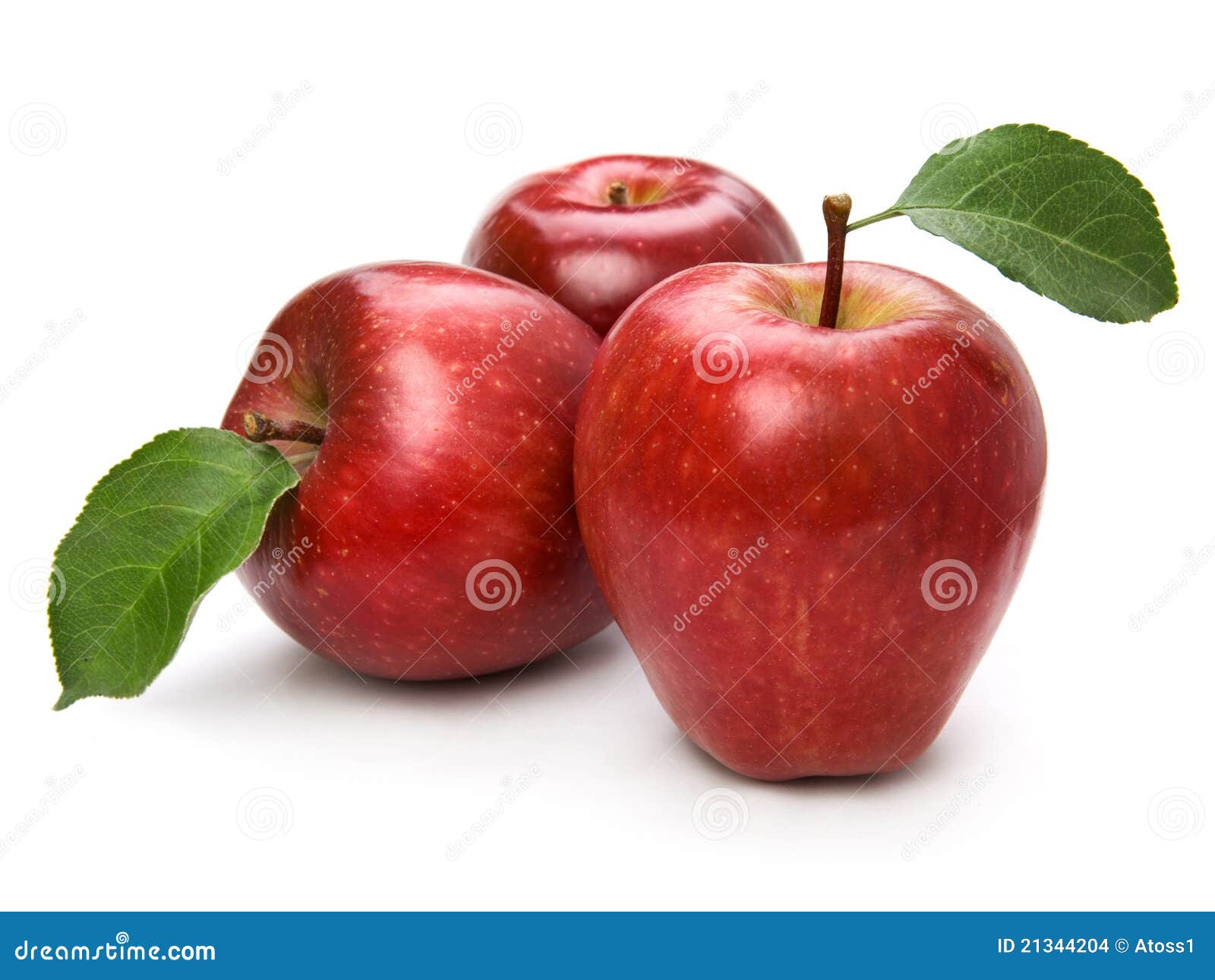 Ripe apple fruit stock photo. Image of fruit, isolated - 21344204