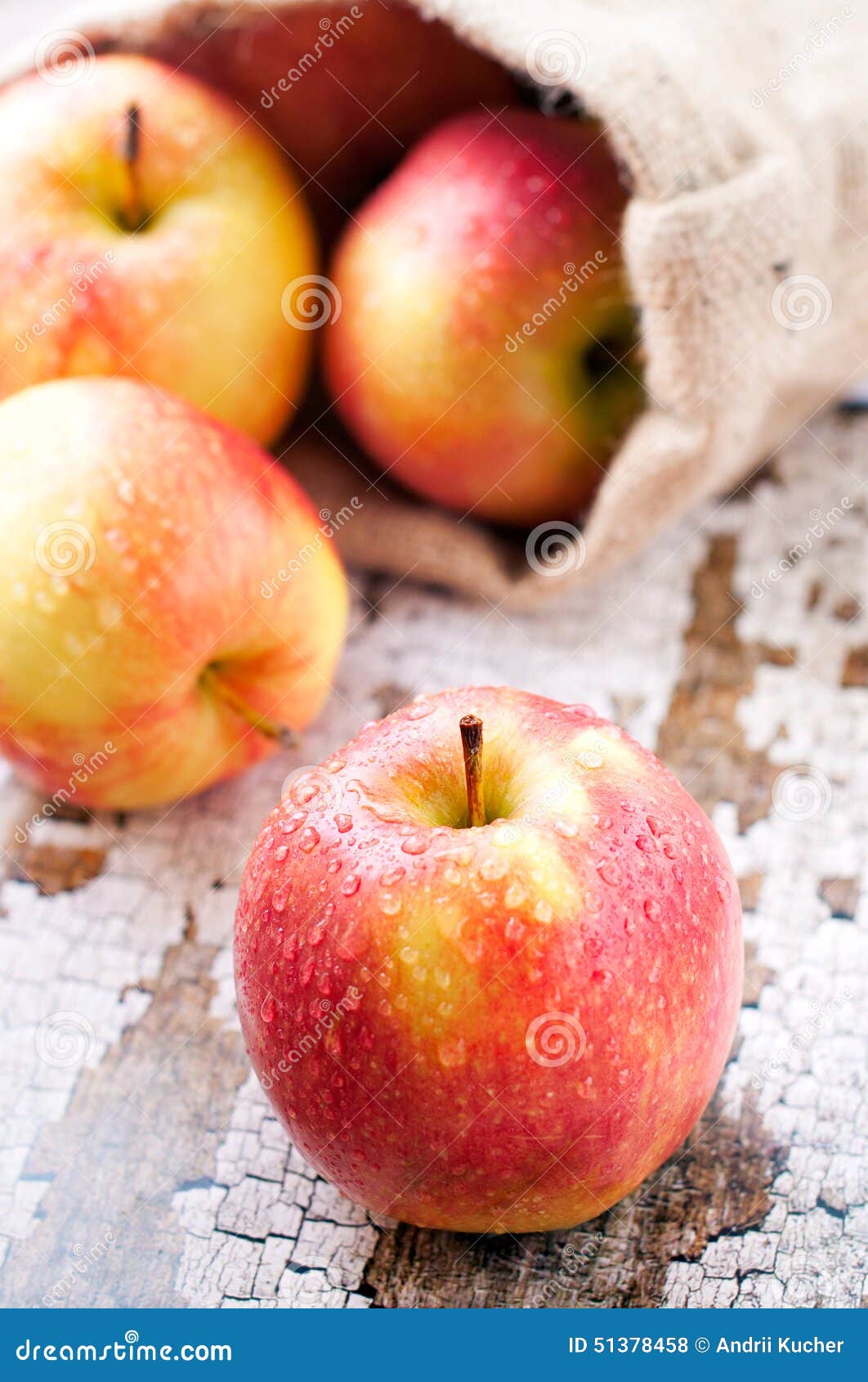 Ripe apple stock photo. Image of close, organic, healthy - 51378458