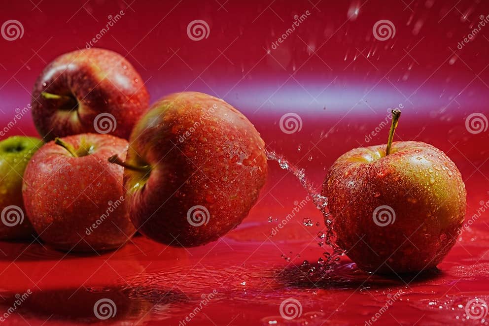 Ripe apples stock photo. Image of nature, fresh, popple - 67498986