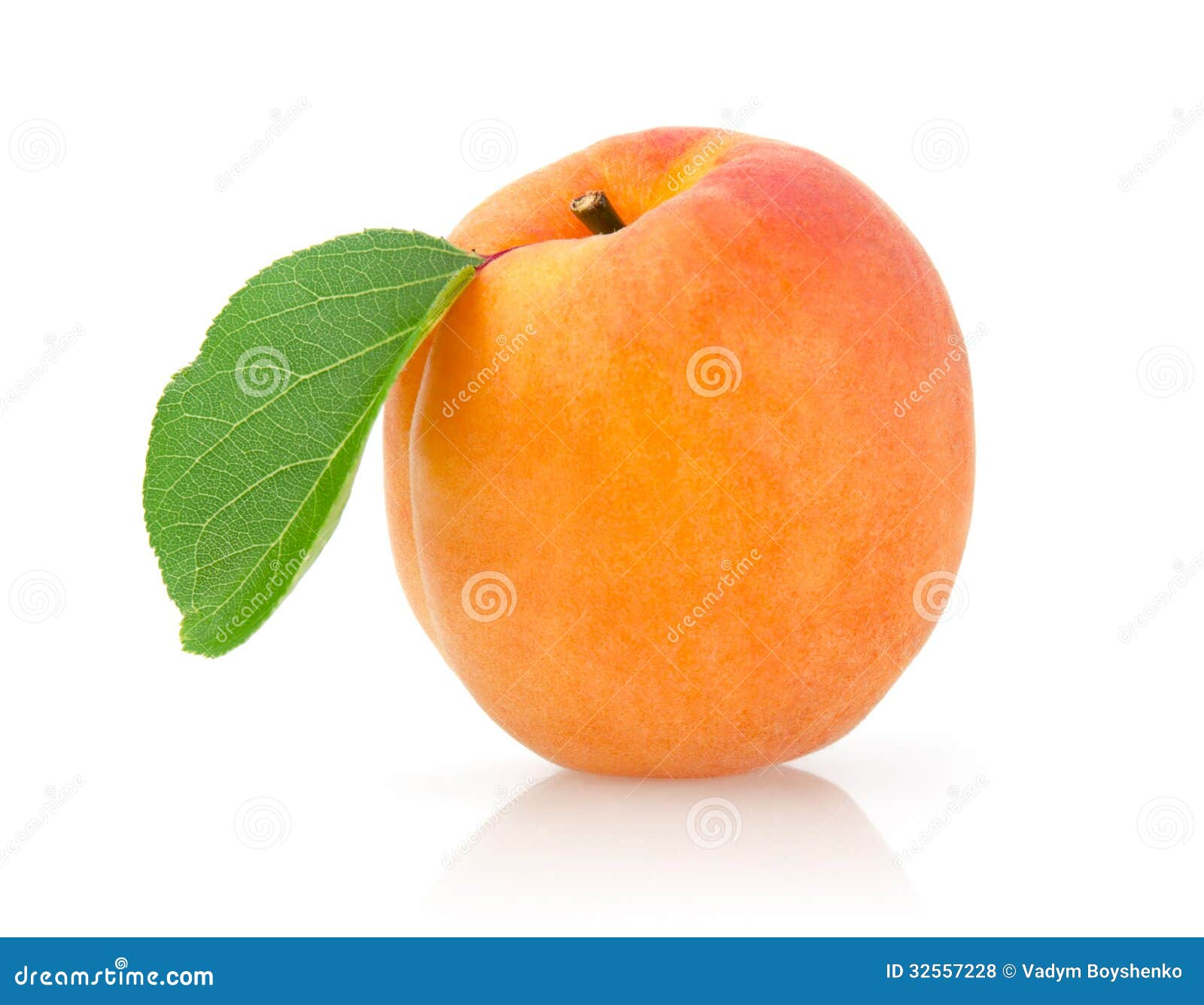 Ripe Apricot stock photo. Image of agriculture, leaf - 32557228