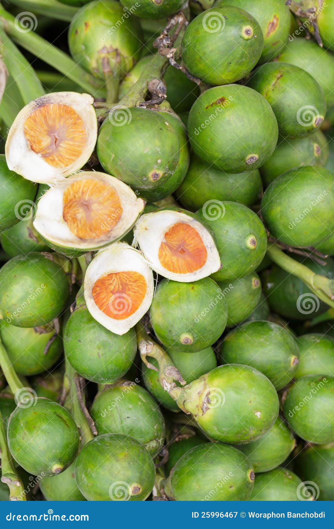Ripe areca-nut stock image. Image of medicine, palm, dried - 25996467