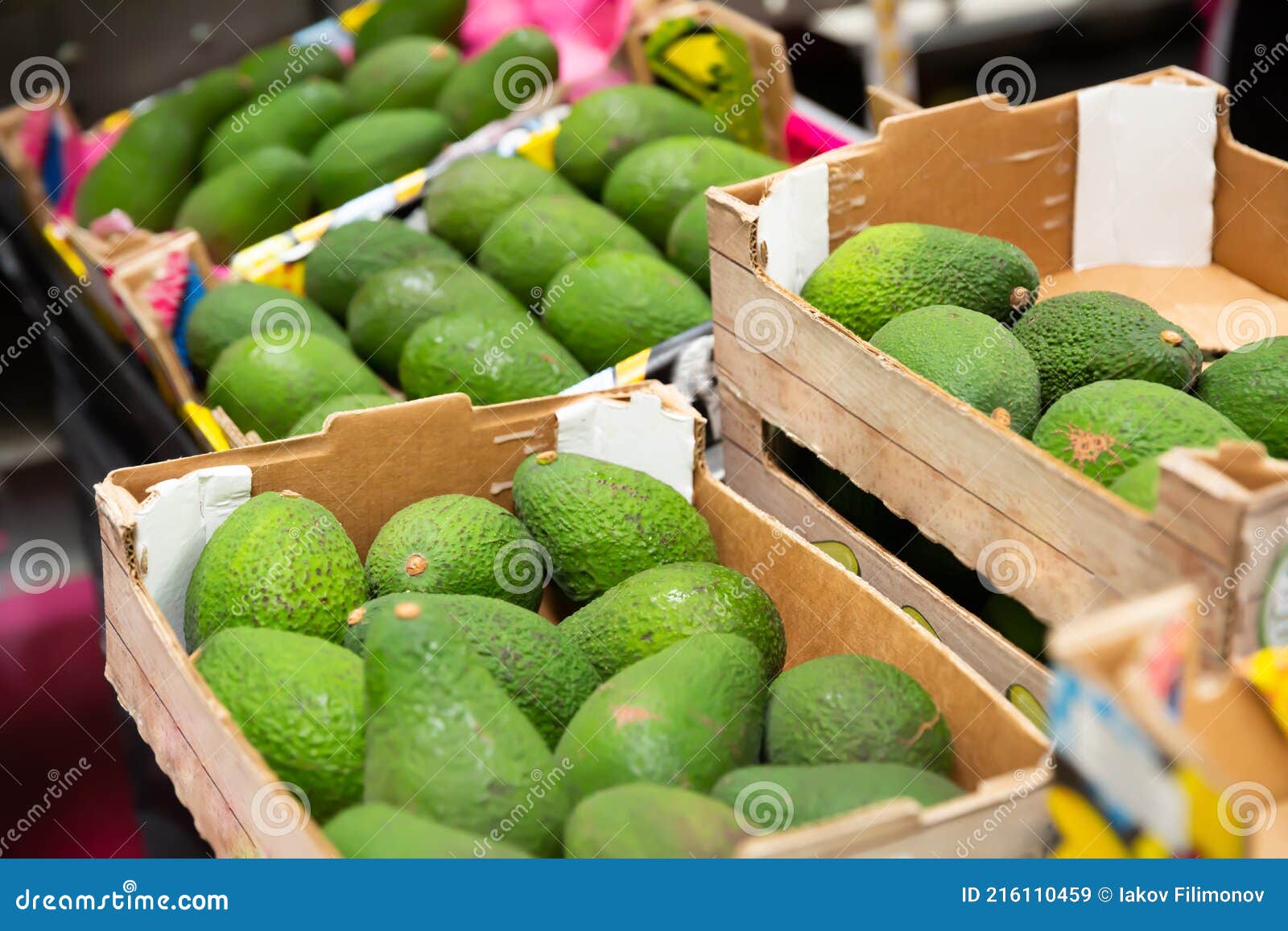 Ripe Avocado Fruit in Boxes Stock Image - Image of harvest, ripe: 216110459