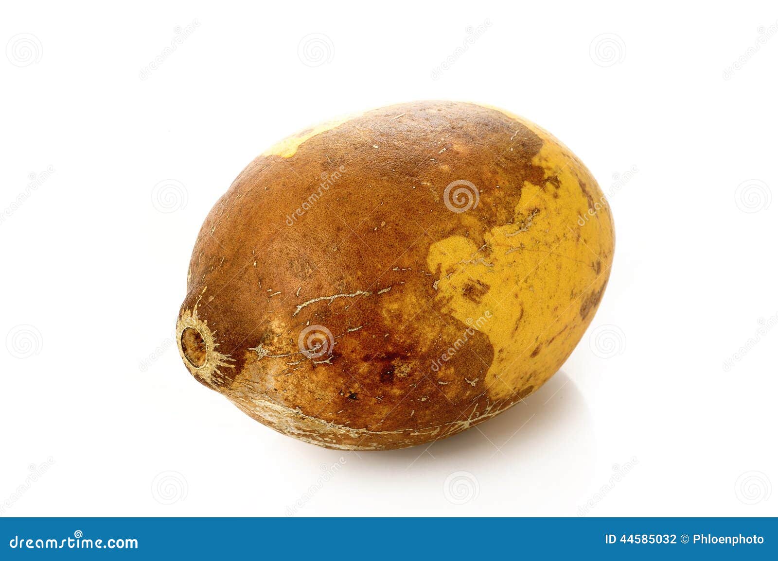 Ripe bael fruit stock photo. Image of plant, fruit, tropical - 44585032