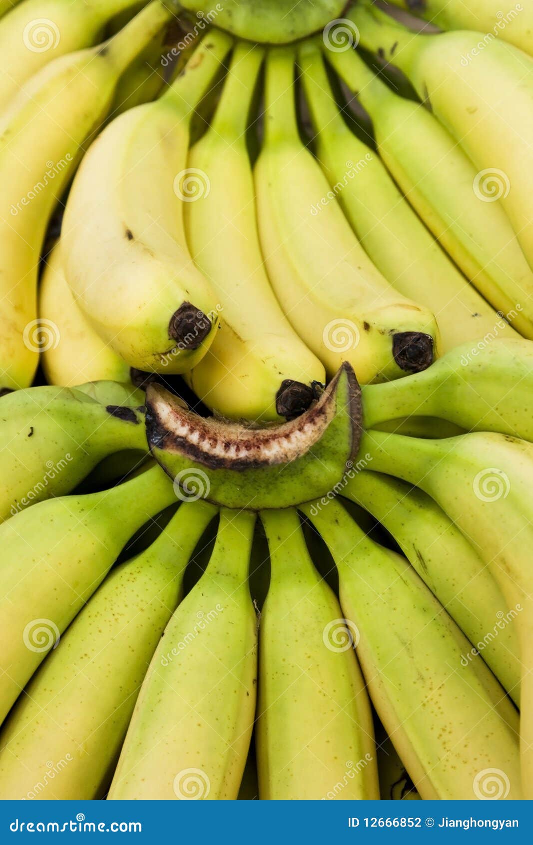 Ripe banana stock photo. Image of rich, yellow, tree - 12666852