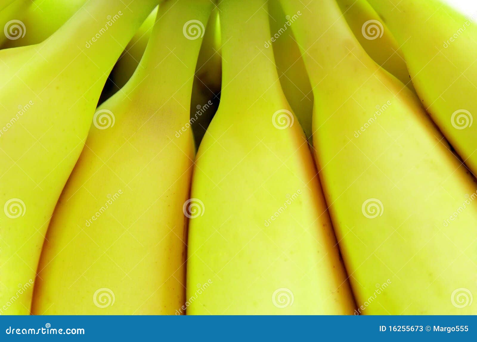 Ripe bananas stock image. Image of full, group, vertical - 16255673