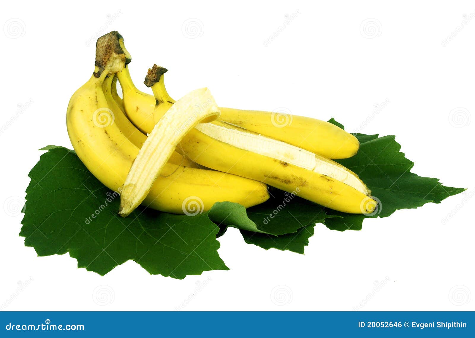 Ripe bananas stock photo. Image of cluster, green, nature - 20052646