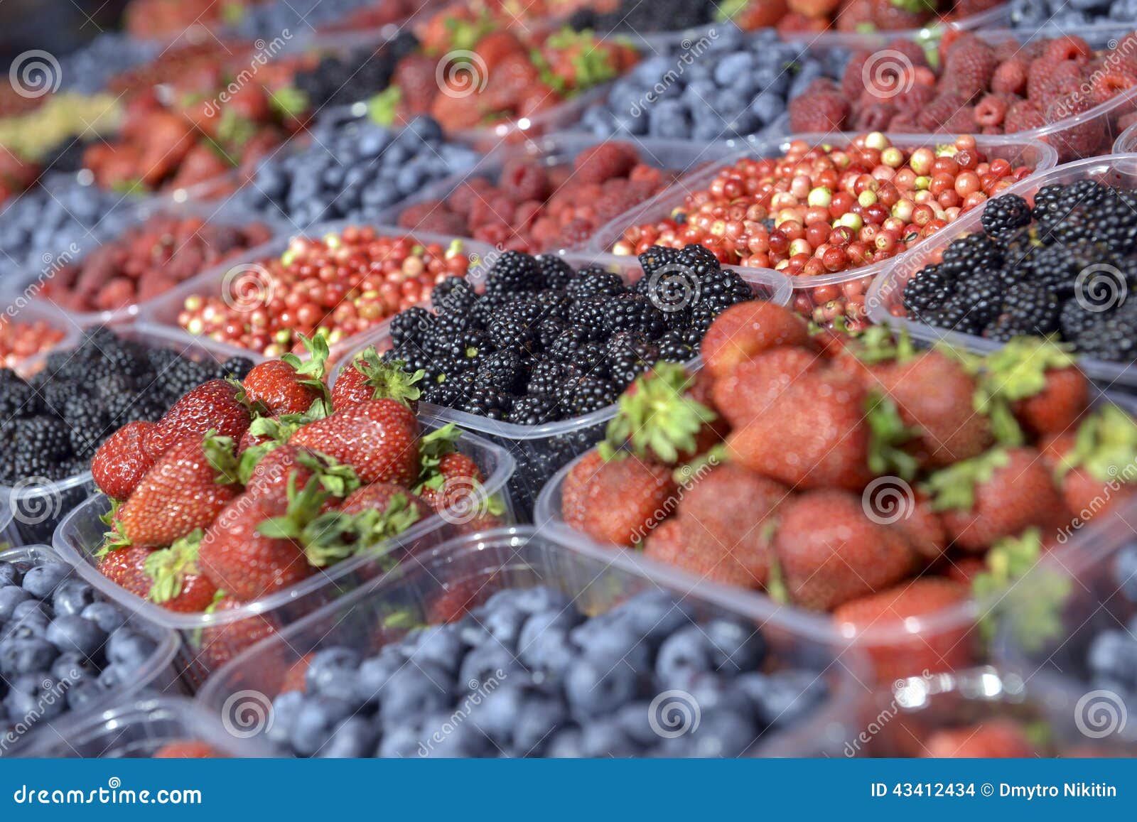 Ripe Berries in a Plastic Container Stock Photo - Image of organic ...