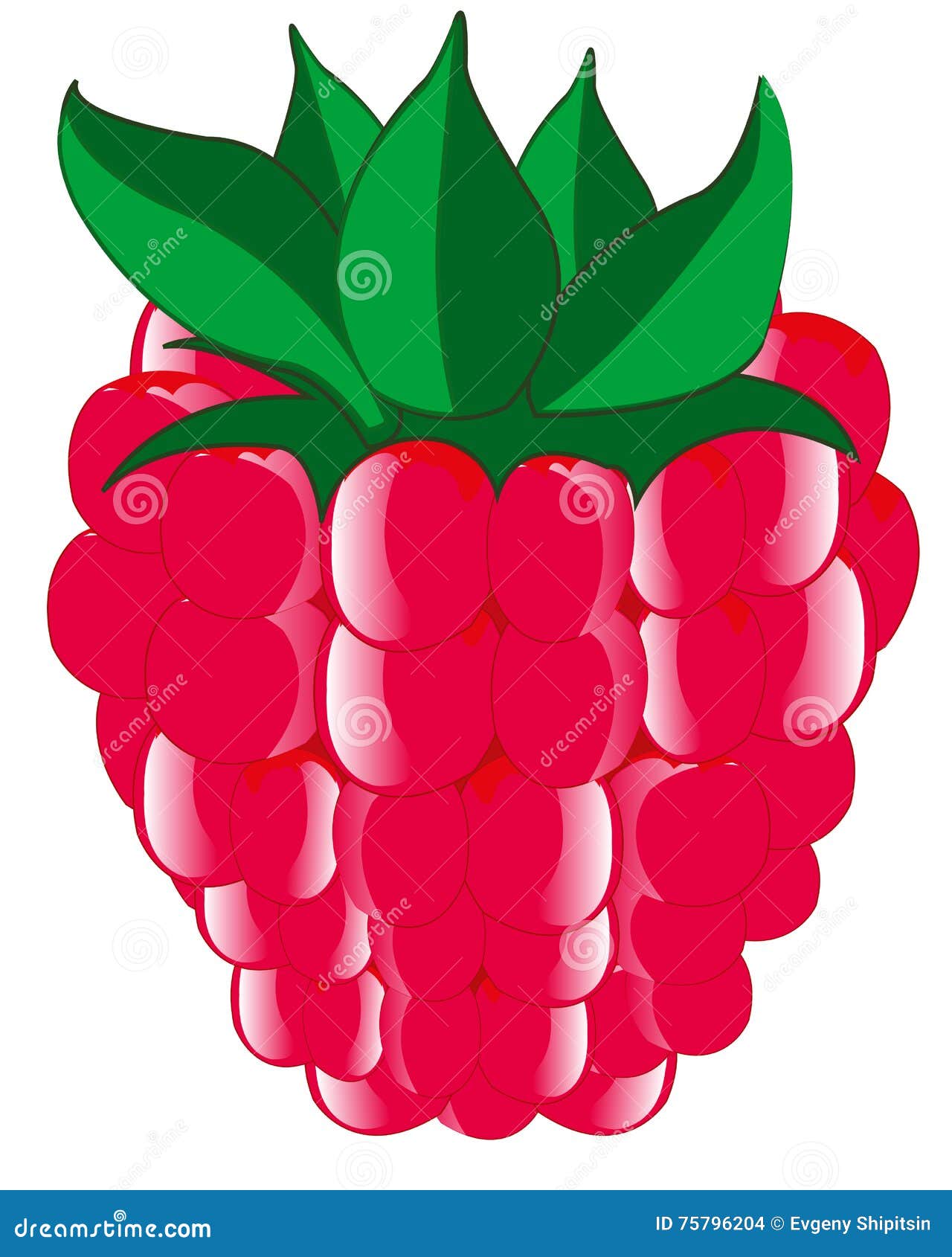 Ripe berry raspberry stock illustration. Illustration of mature - 75796204