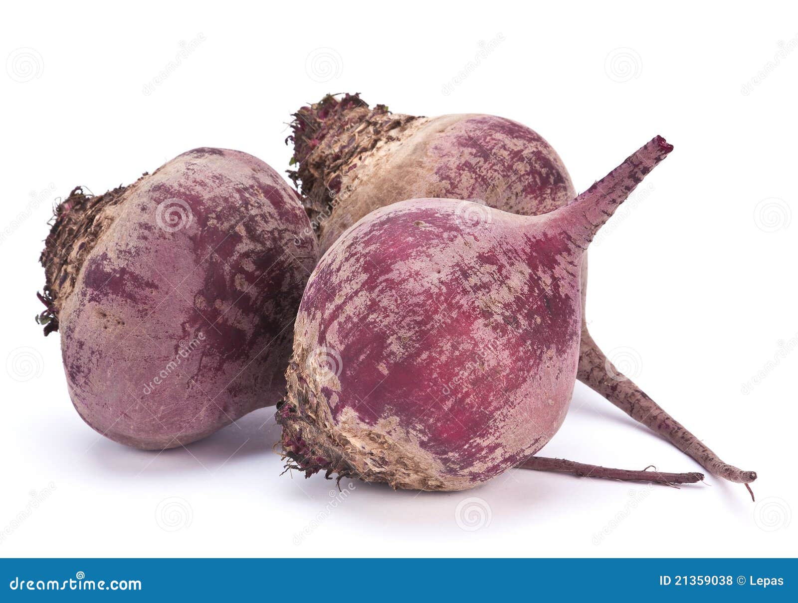 Ripe bet root vegetable stock photo. Image of fresh, root - 21359038