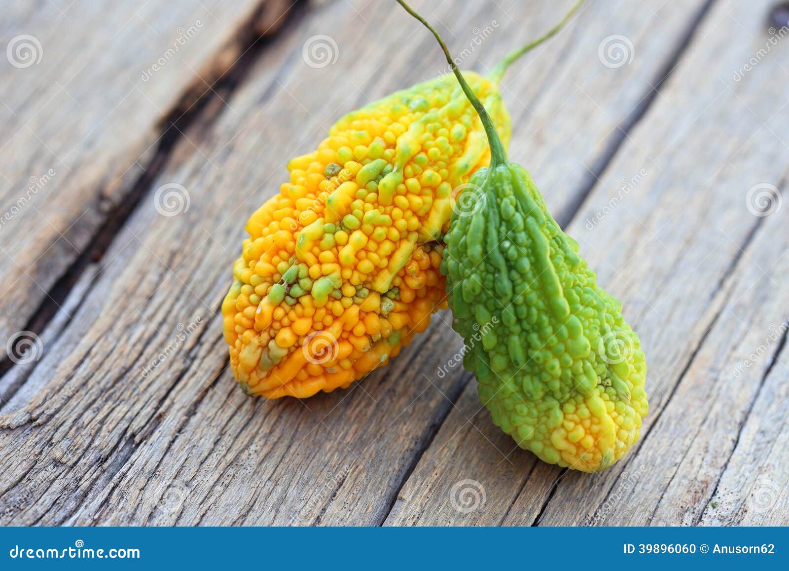 Ripe bitter gourd stock photo. Image of green, herb, organic - 39896060