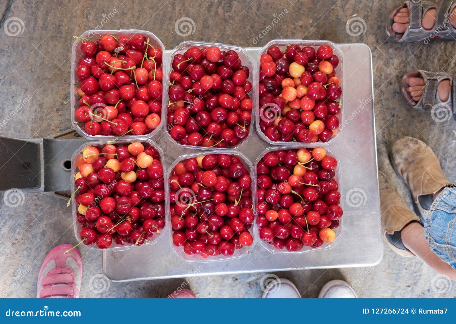 Ripe Black and White Cherries in Plastic Boxes Stock Photo - Image of ...