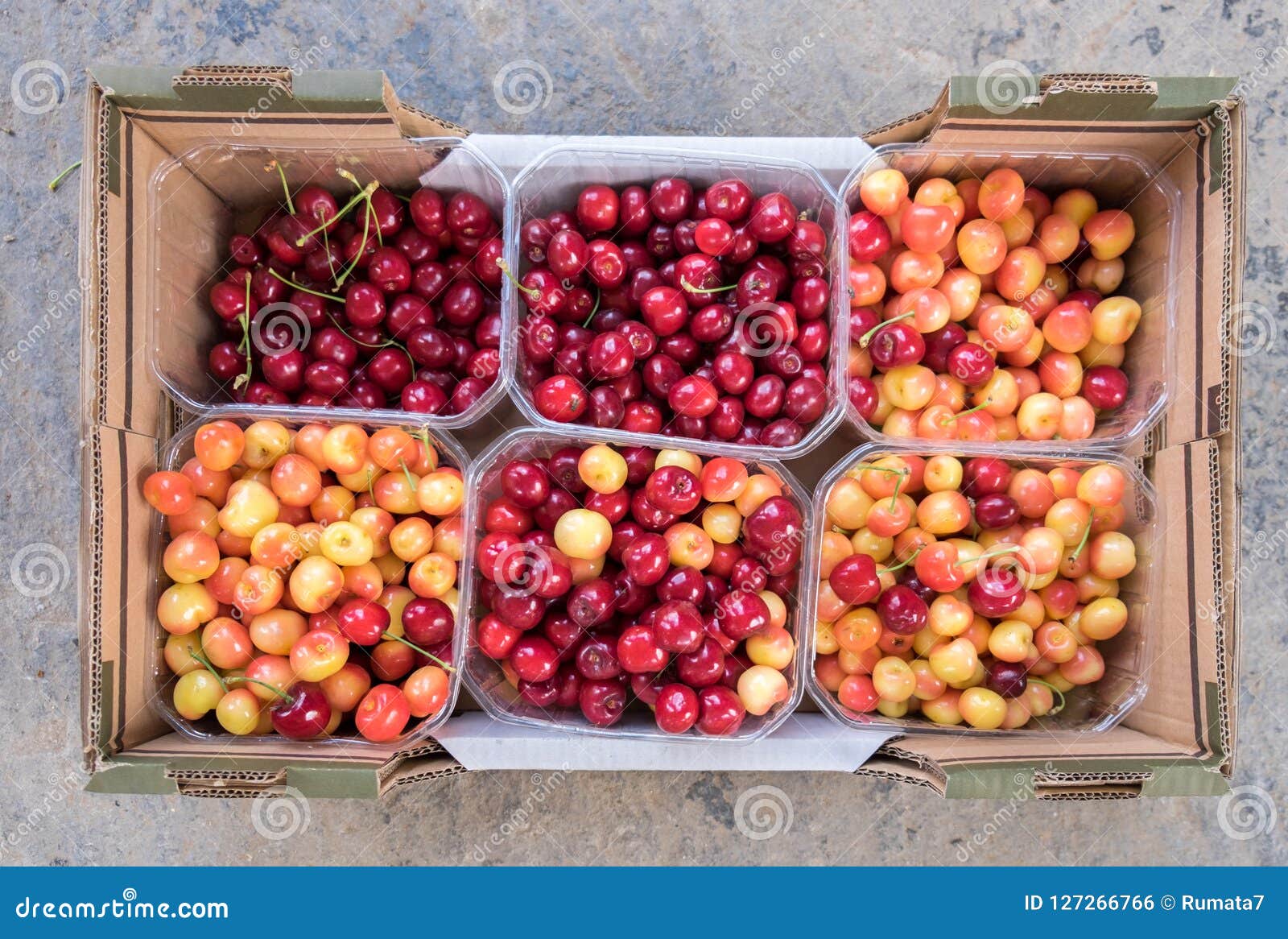 Ripe Black and White Cherries in Plastic Boxes Stock Photo - Image of ...
