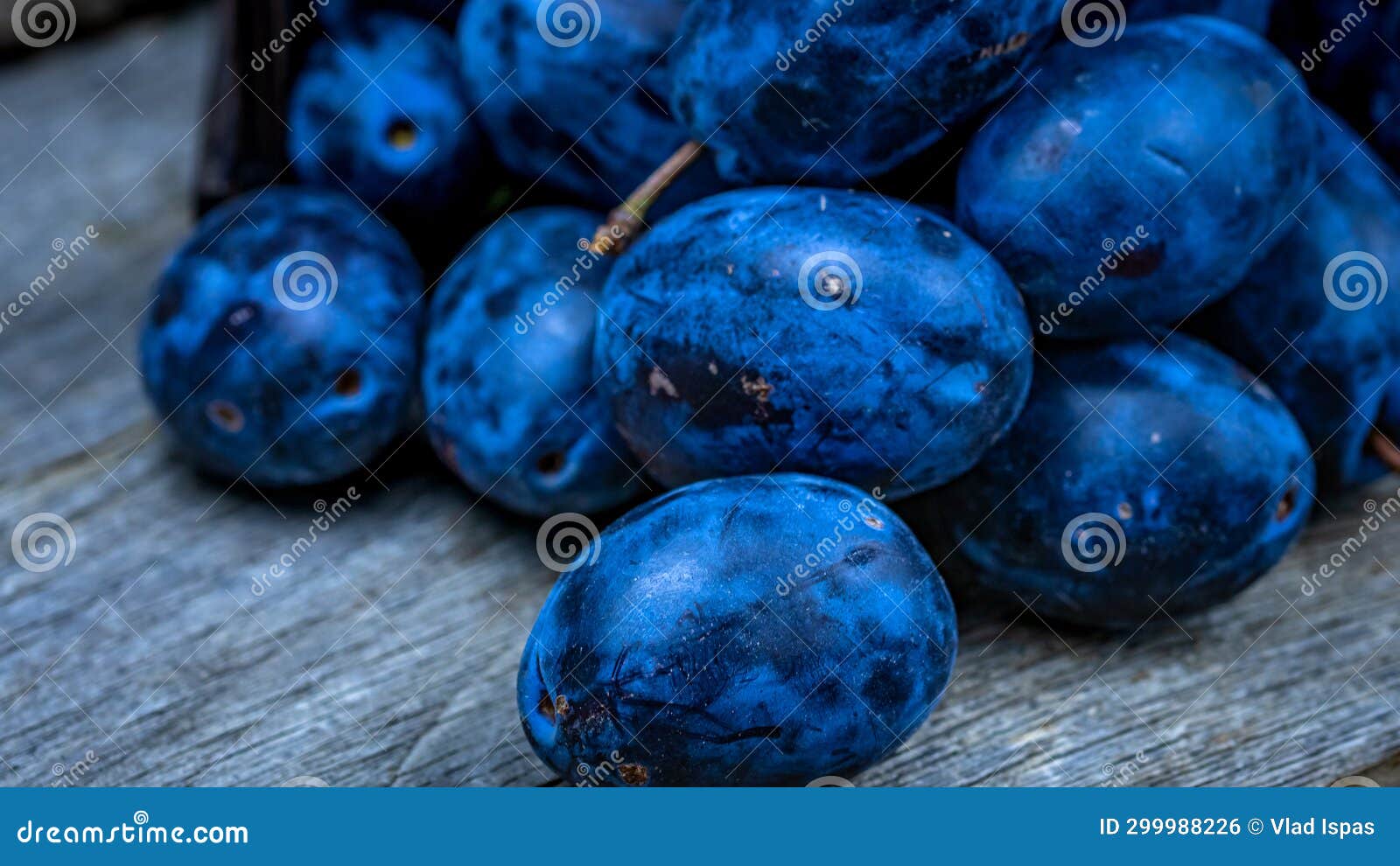 Ripe Blue Plums in a Wooden Crate in a Rustic Composition Stock Photo ...