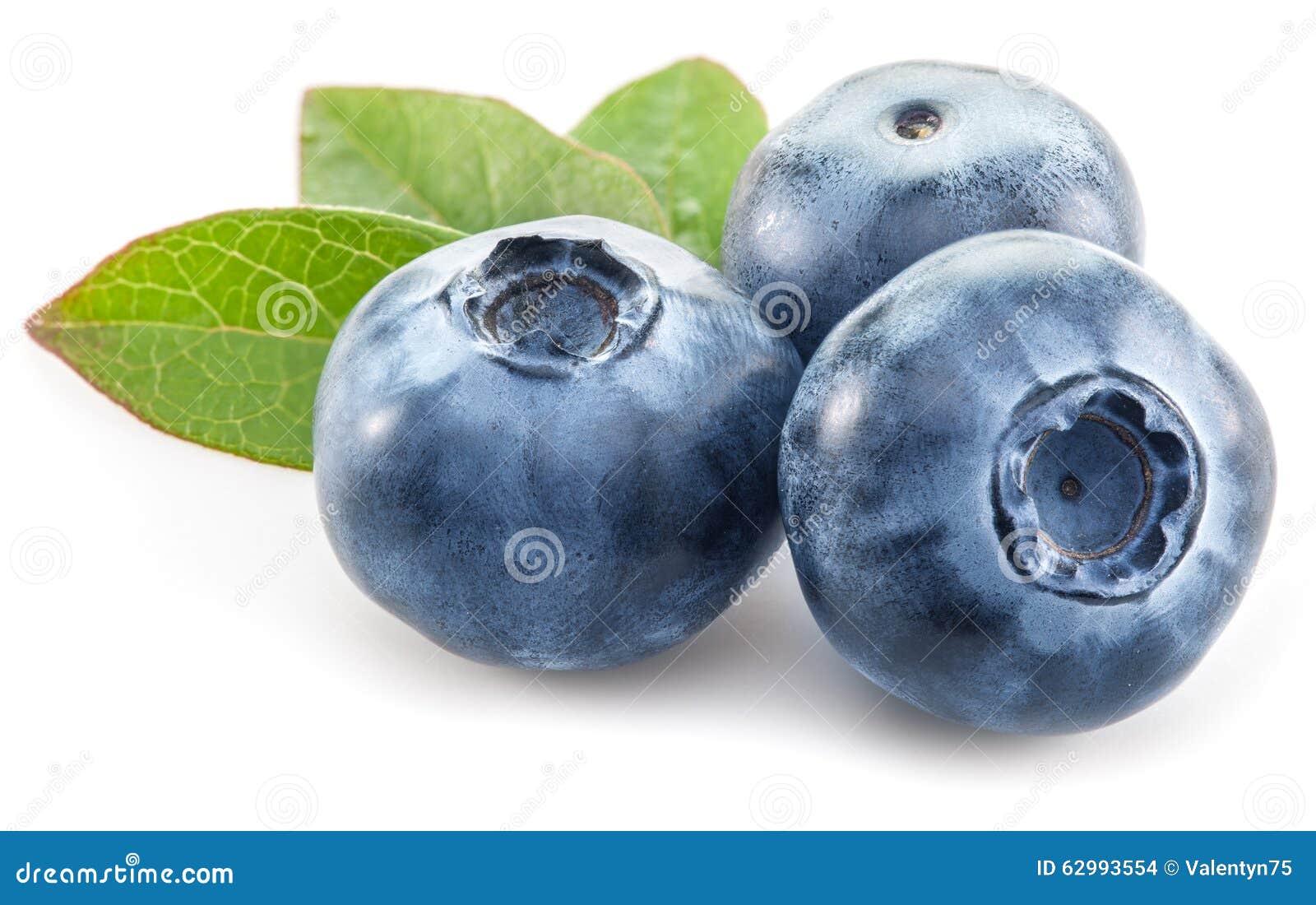 Ripe Blueberries on the White. Stock Photo - Image of blueberries ...