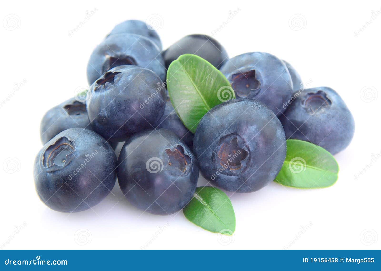 Ripe blueberry with life stock photo. Image of blueberry - 19156458