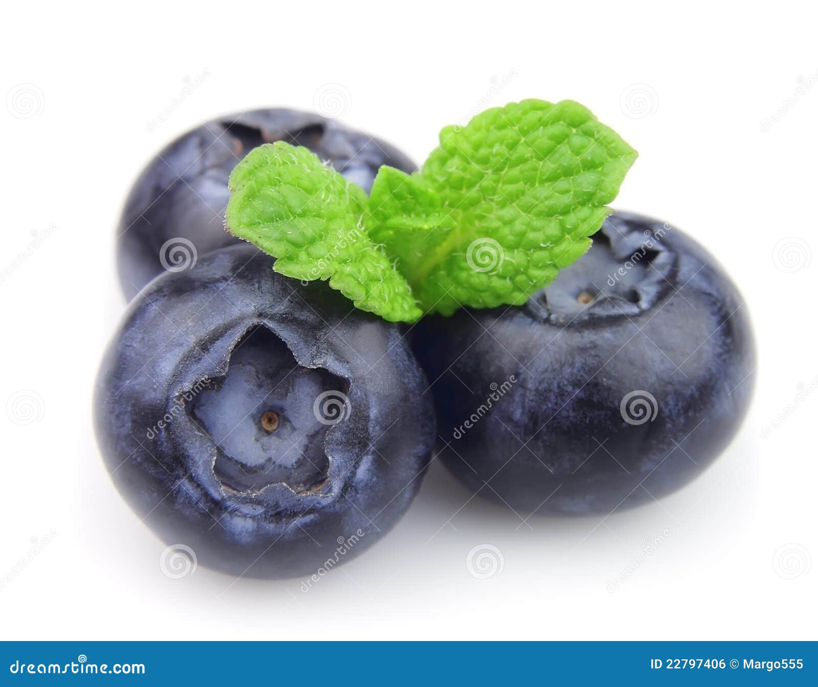 Ripe blueberry with mint stock photo. Image of blue, leaf - 22797406