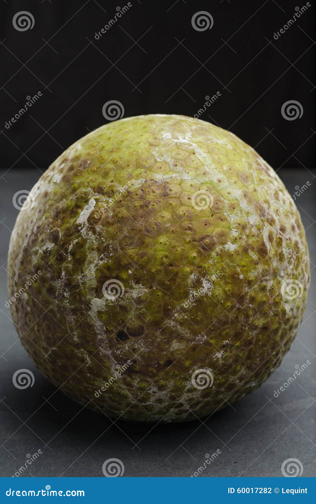 Ripe Breadfruit Black Backdrop Stock Photo - Image of green, healthy ...