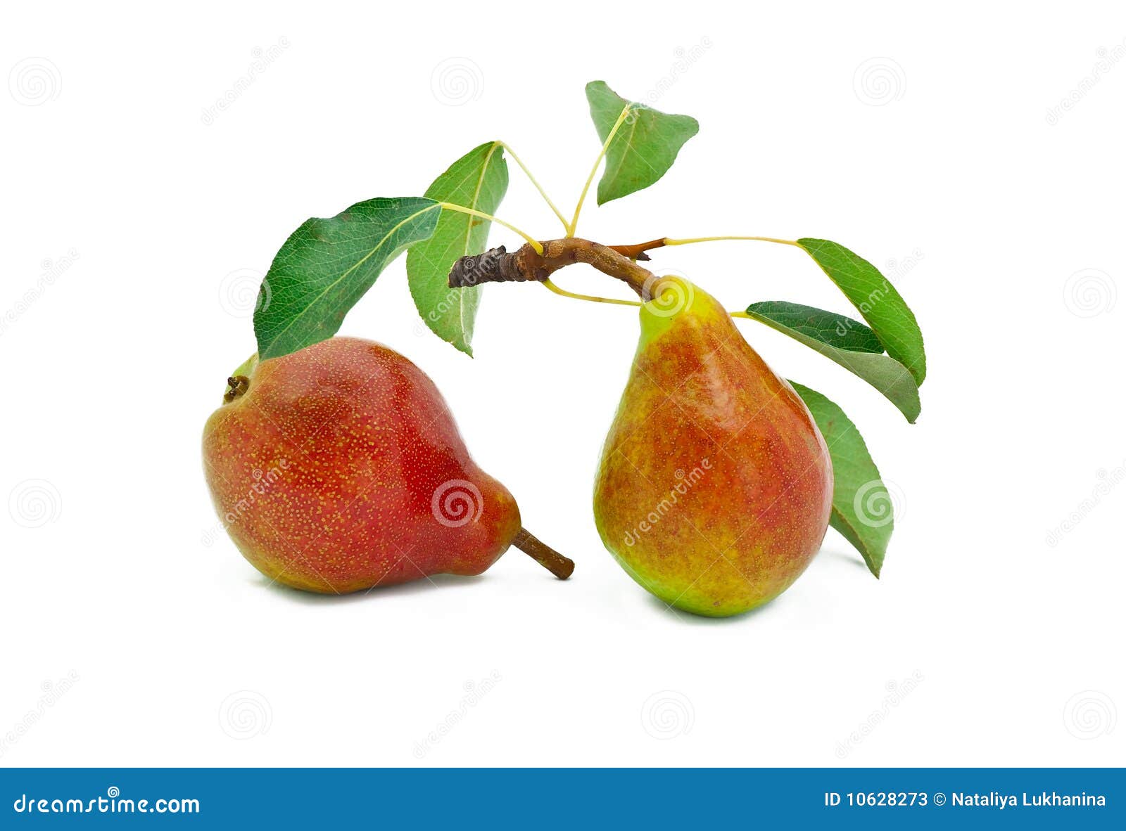 Ripe Bright Pears with Leaves Stock Image - Image of background, love ...