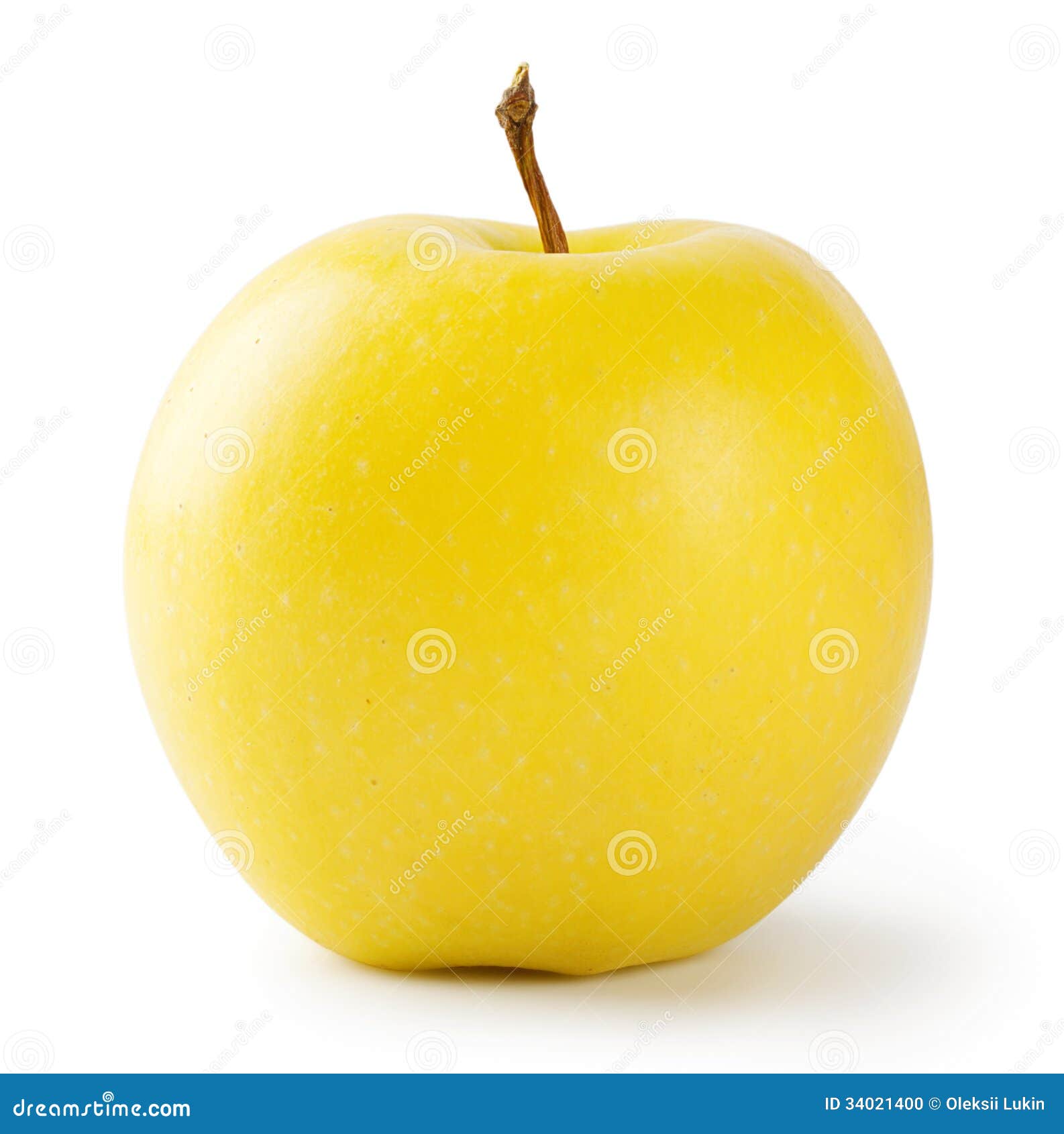 Ripe bright yellow apple stock photo. Image of healthy - 34021400