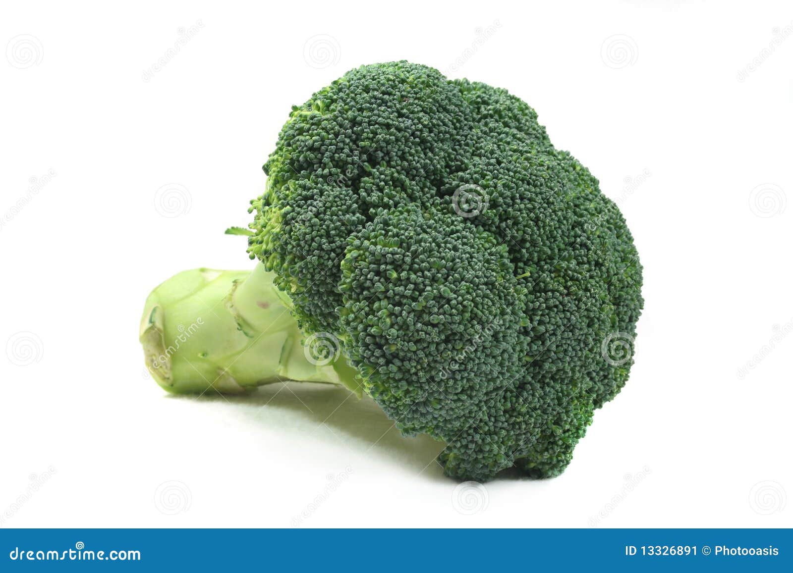 Ripe Broccoli Cabbage stock image. Image of agrarian - 13326891