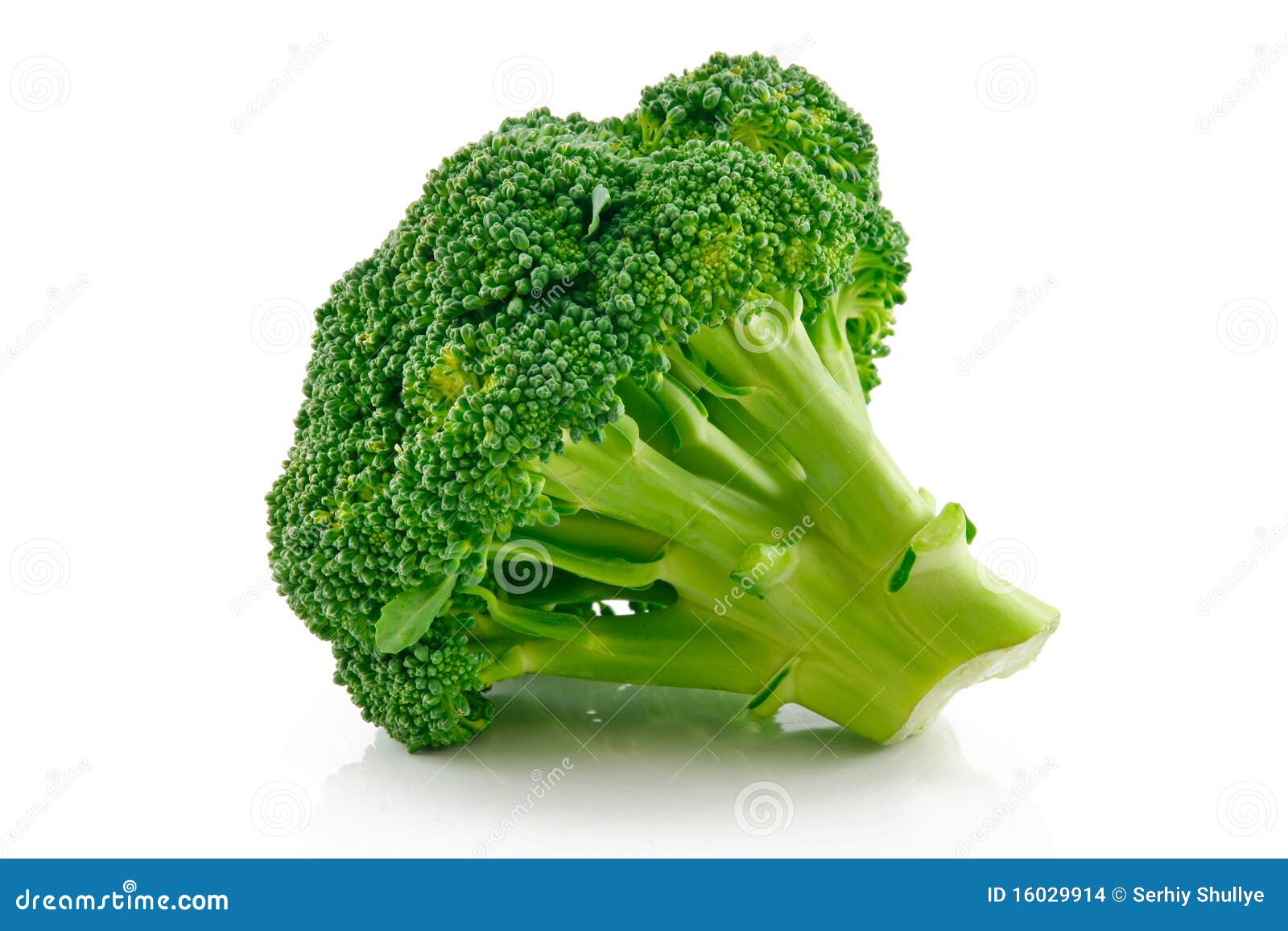 Ripe Broccoli Cabbage Isolated on White Stock Photo - Image of gourmet ...