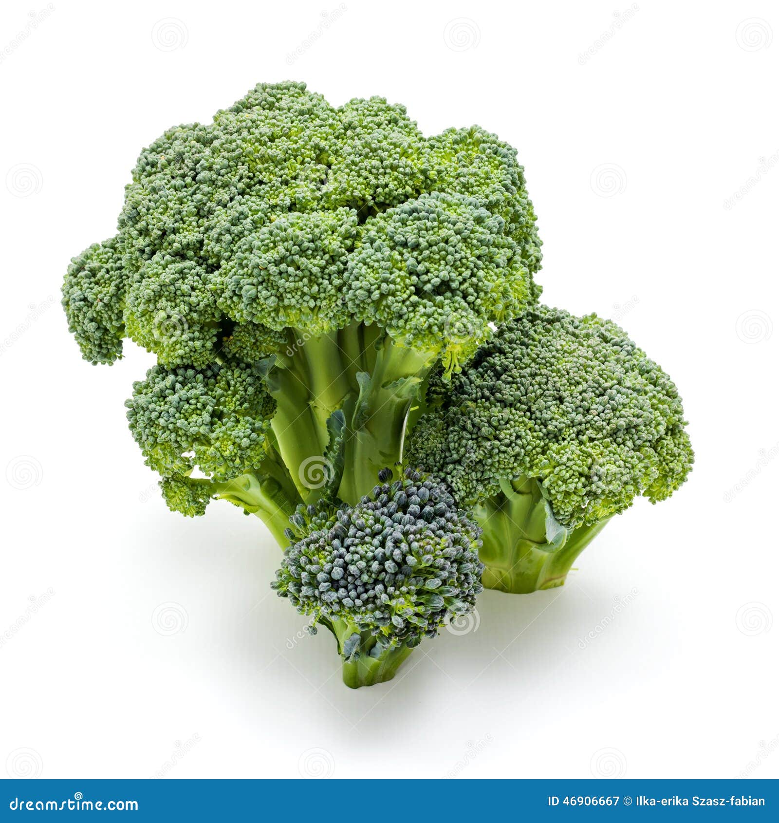 Ripe broccoli crops stock image. Image of broccoli, vegetable - 46906667