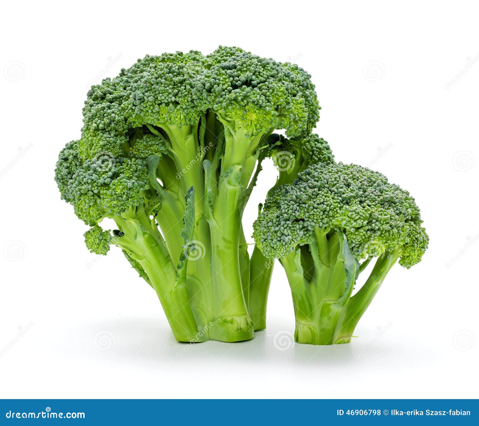 Ripe broccoli crops stock photo. Image of vegan, healthy - 46906798