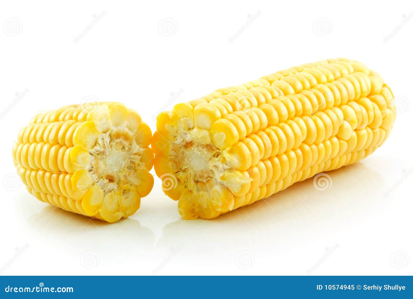 Broken Corn Stalk With Corn Cobs Surrounded With Dry Husks And Tall ... Broken Corn Stalk With Corn Cobs Surrounded With Dry Husks And Tall ...