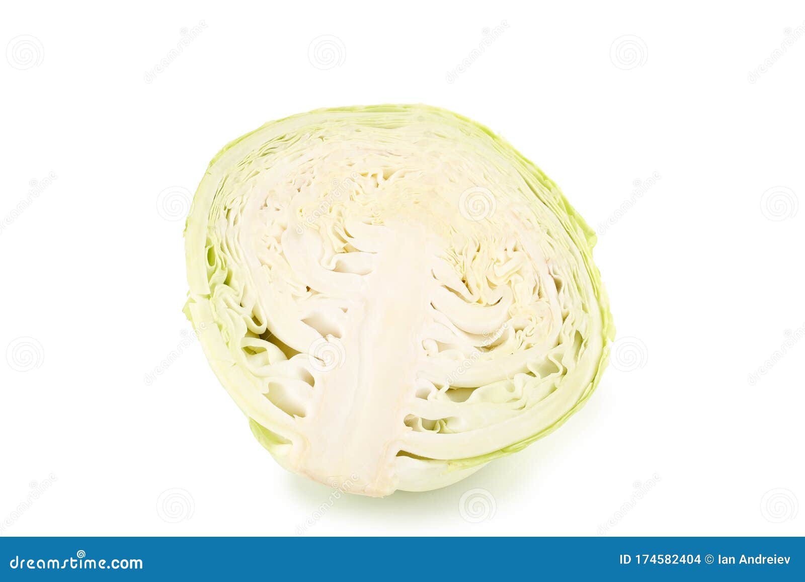 Ripe cabbage stock photo. Image of ripe, vegetable, closeup - 174582404