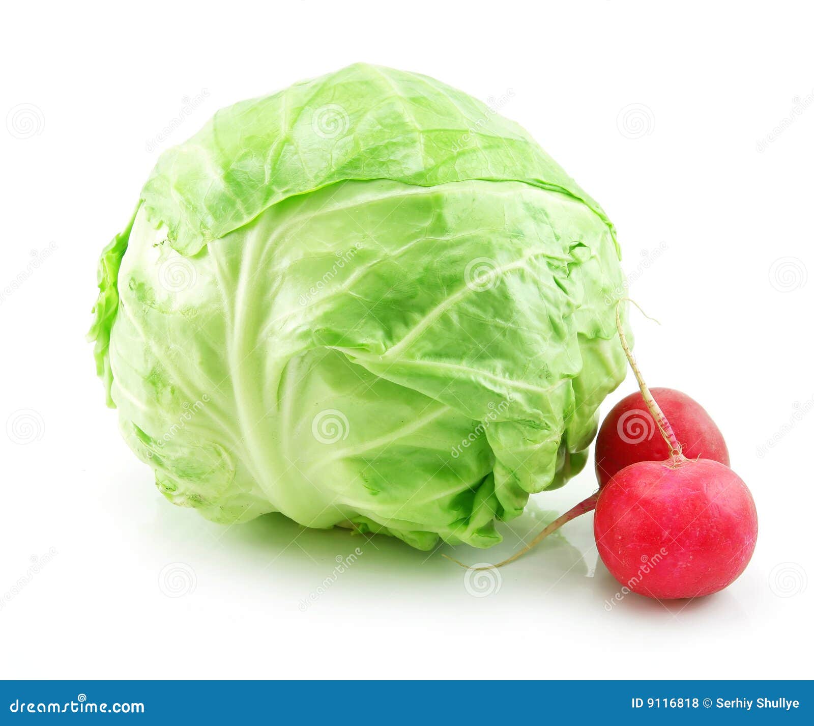 Ripe Cabbage and Radishes Isolated on White Stock Photo - Image of leaf ...