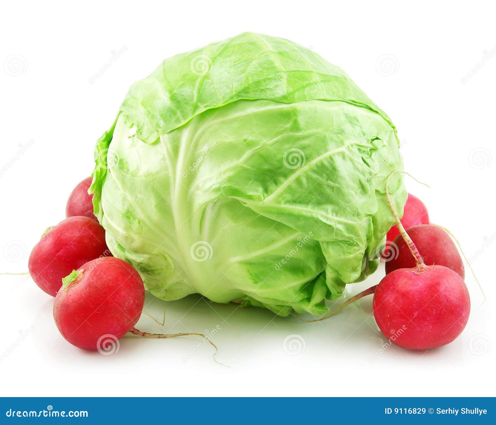 Ripe Cabbage and Radishes Isolated on White Stock Image - Image of ...