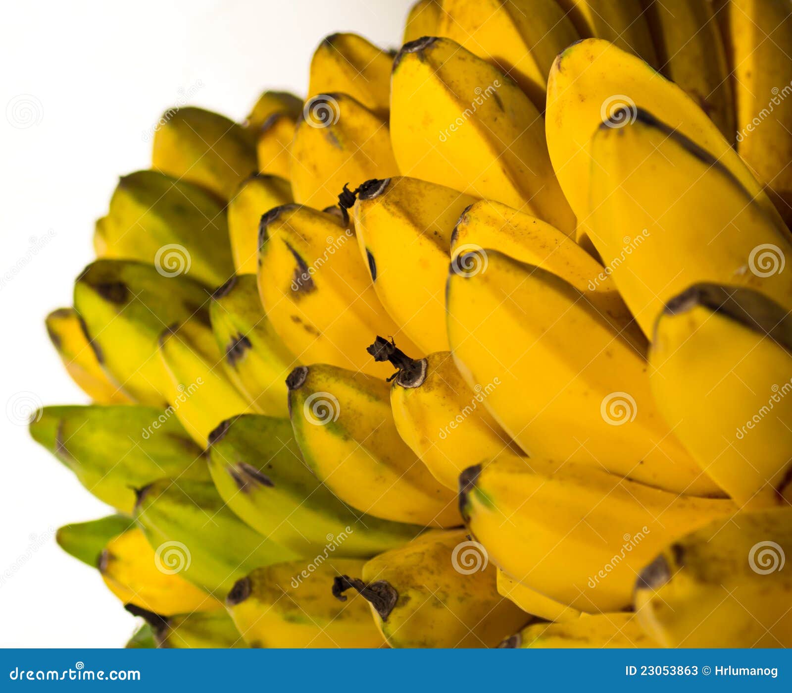 Ripe cardava banana stock image. Image of nature, freshness - 23053863